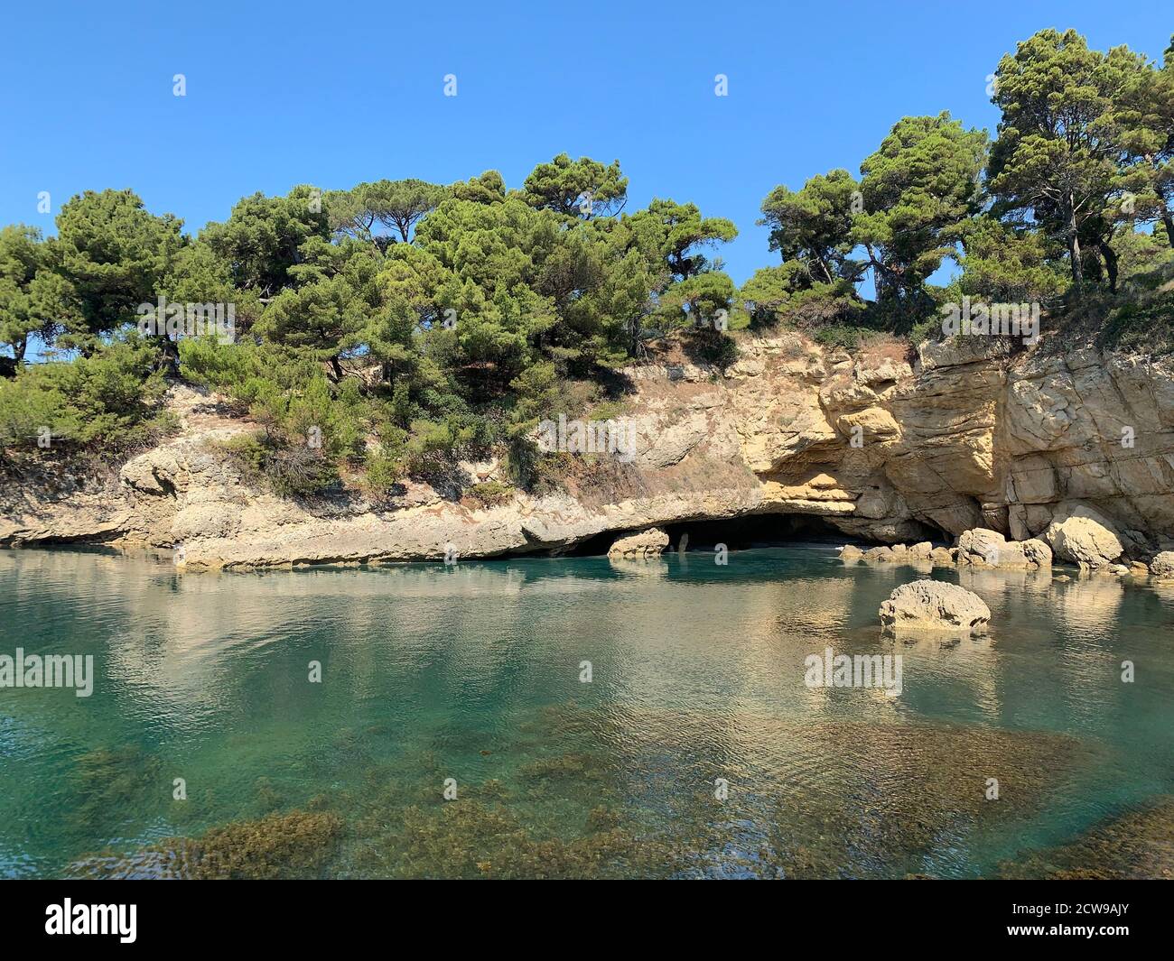 Water Seaweed Rocks High Resolution Stock Photography and Images - Alamy