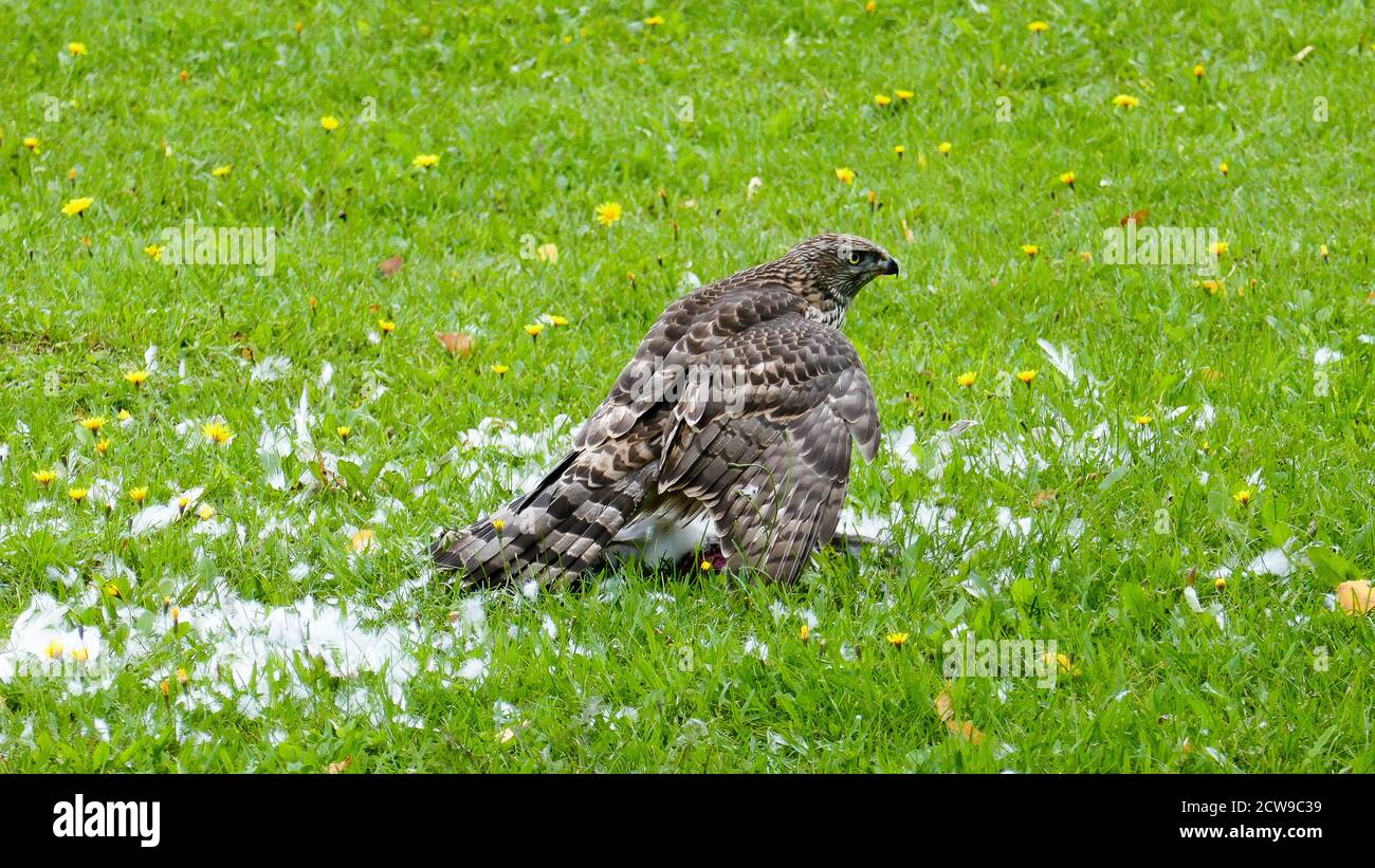 Petrozavodsk is a pretty city on the shores of Lake Onega. Located in ...