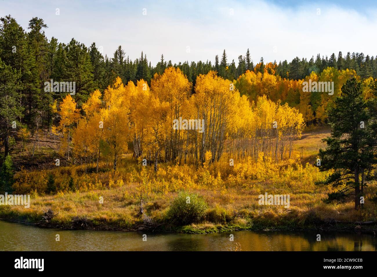 Fall colors at gunnison national forest hi-res stock photography and ...