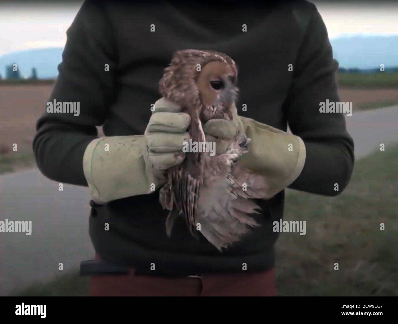BIRD ISLAND, (aka L ILE AUX OISEAUX), Antonin Ivanidze, 2019. © MUBI ...