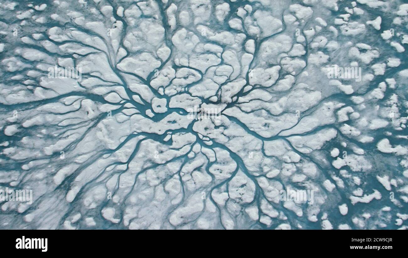 DAVID ATTENBOROUGH: A LIFE ON OUR PLANET, arctic sea ice, 2020 ...