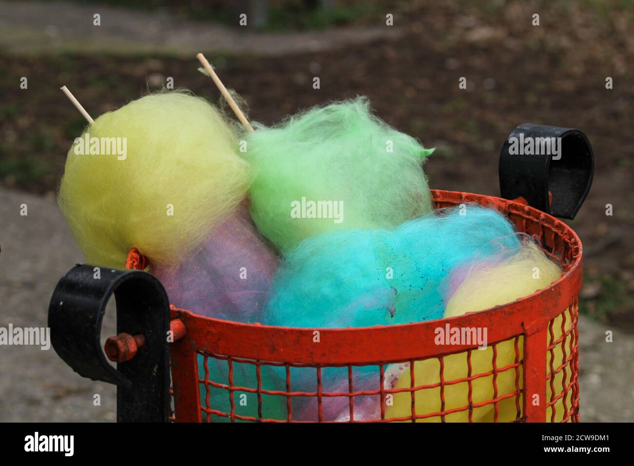 Sweet wool hi-res stock photography and images - Alamy