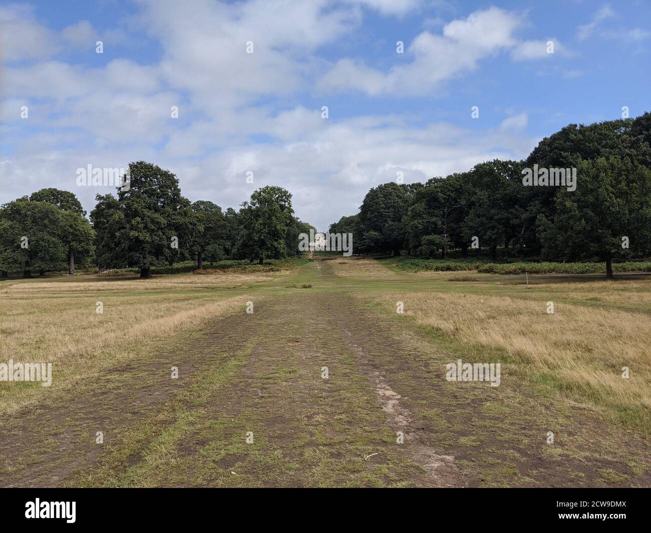 Long grassy pathway surrounded by trees and greens under the cloudy sky ...