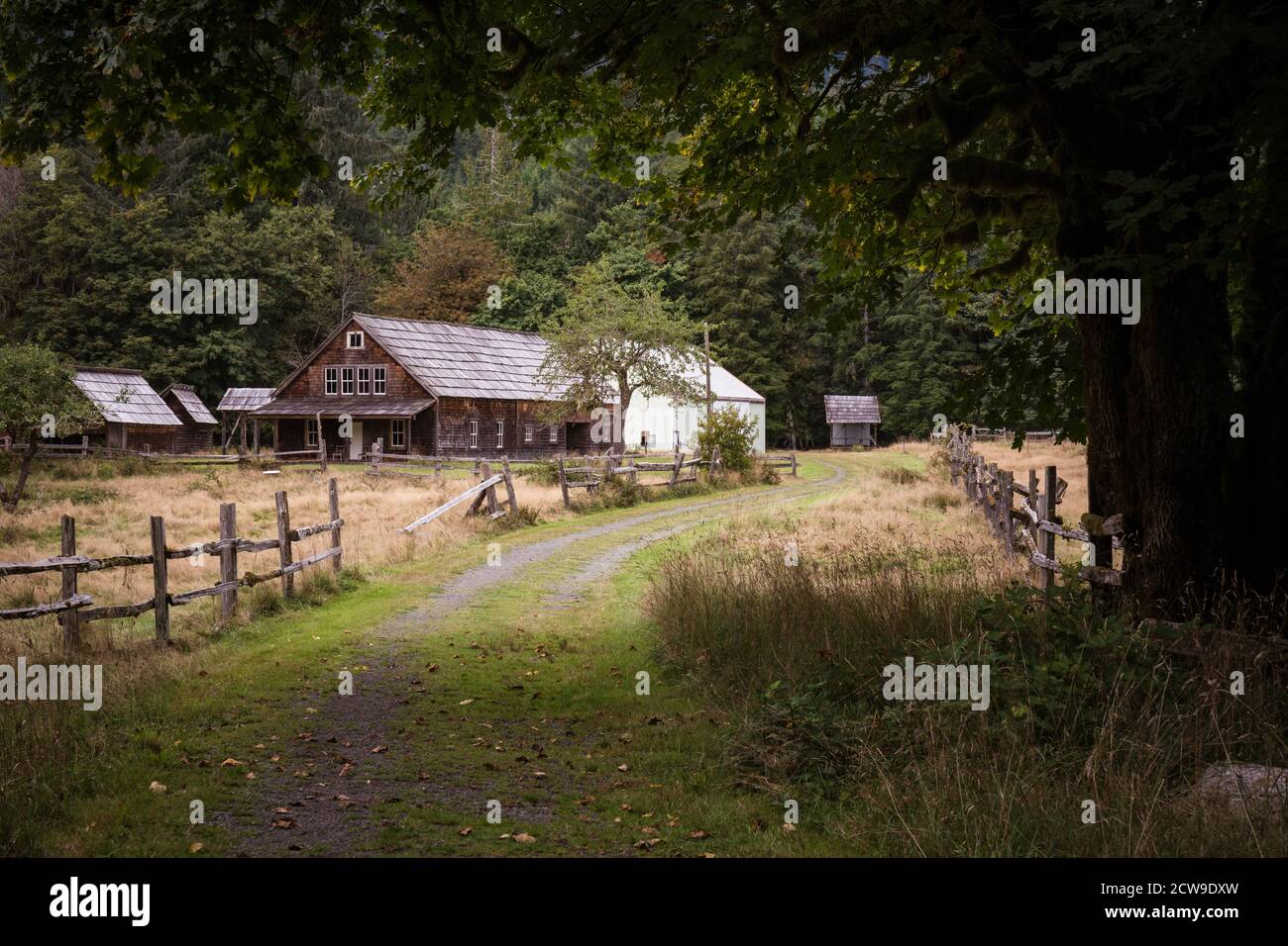 Country Road Leading to Rustic Farmhouse in Forest with Tree Branch ...