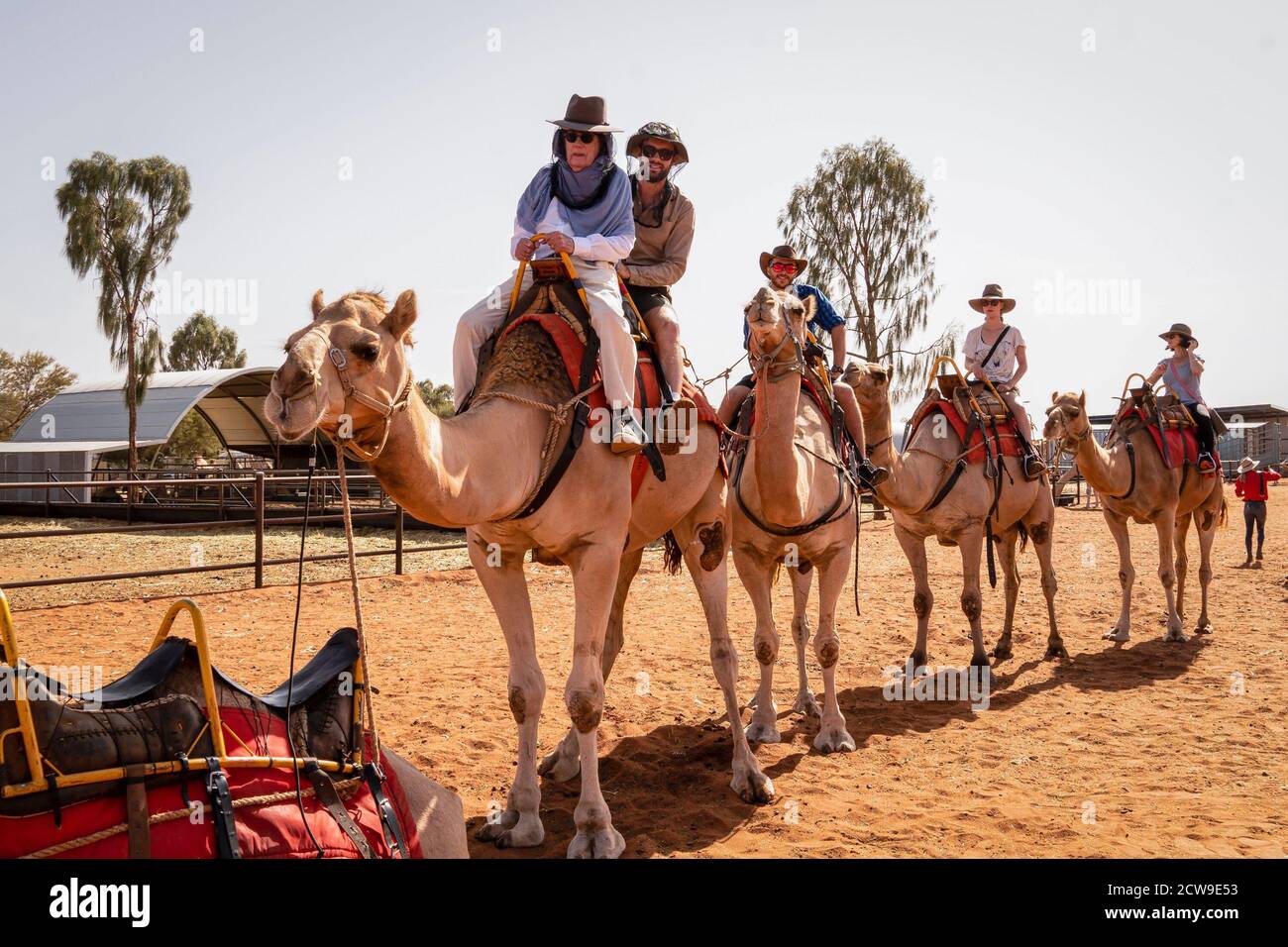 JACK WHITEHALL: TRAVELS WITH MY FATHER, on camel in center from left ...