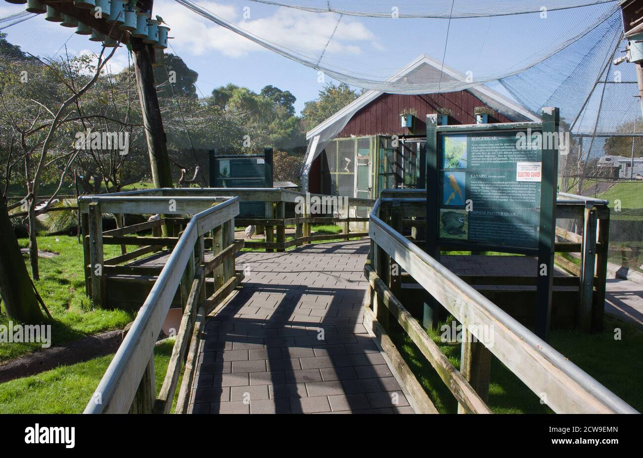 Free flight aviary hi-res stock photography and images - Alamy