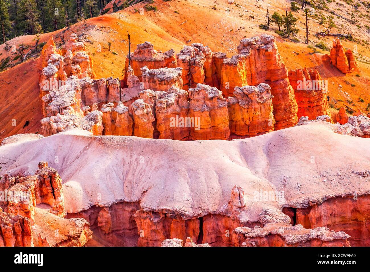 Hoodoos White Limestone Bryce Point Bryce Canyon National Park Utah ...