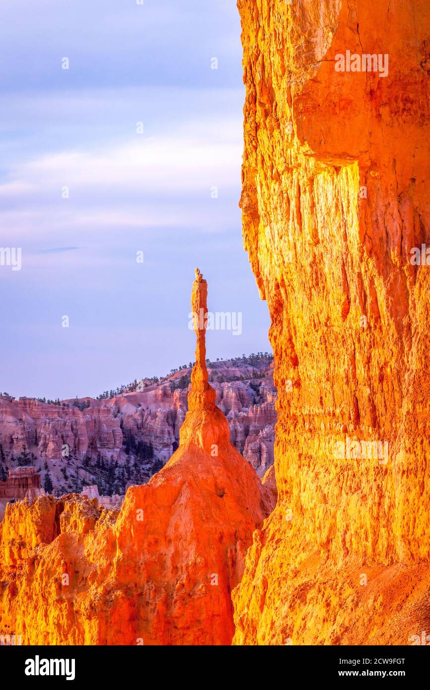 Thin Hoodoo Bryce Point Bryce Canyon National Park Utah Stock Photo - Alamy