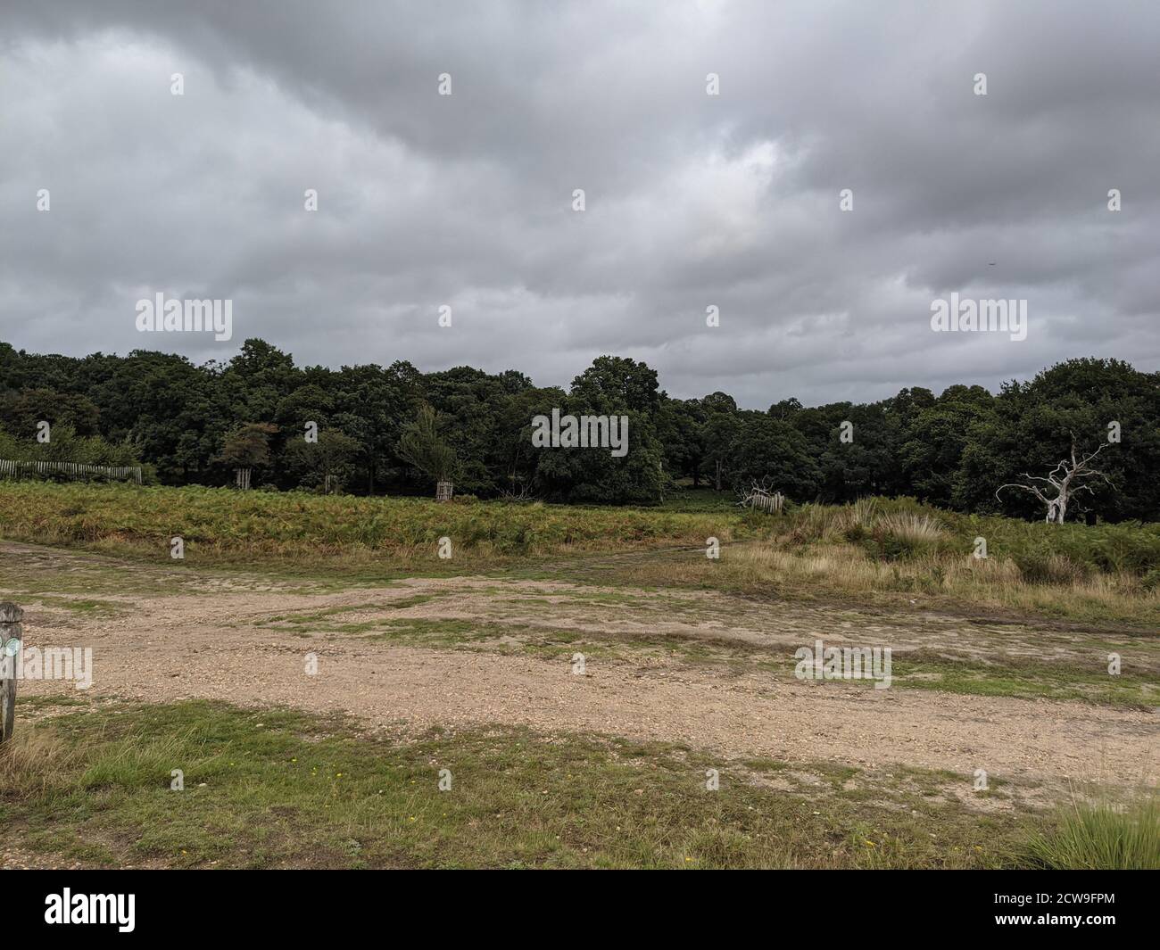 Grassy pathway surrounded by greens and trees under the cloudy sky ...