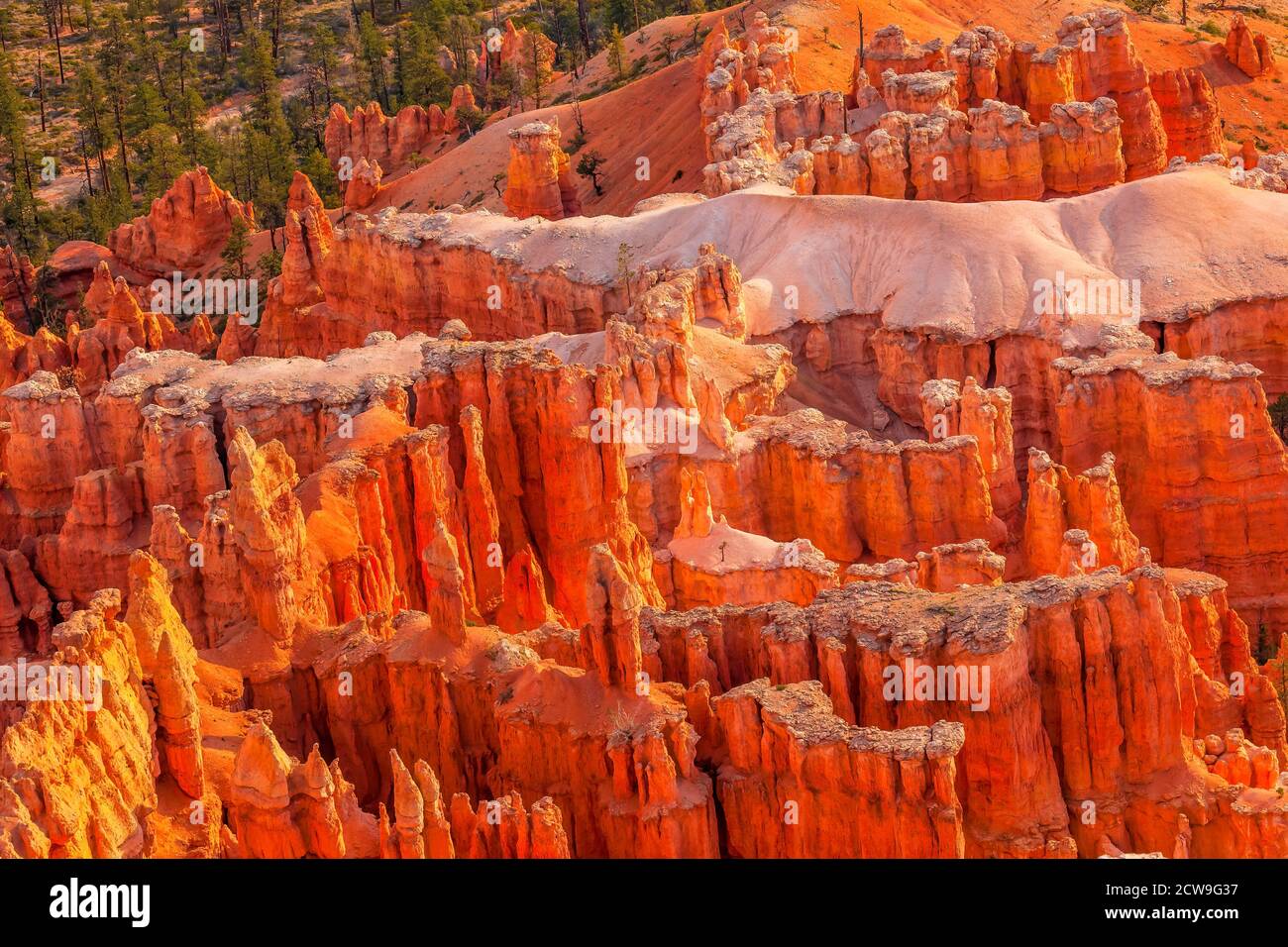 Hoodoos White Limestone Bryce Point Bryce Canyon National Park Utah ...