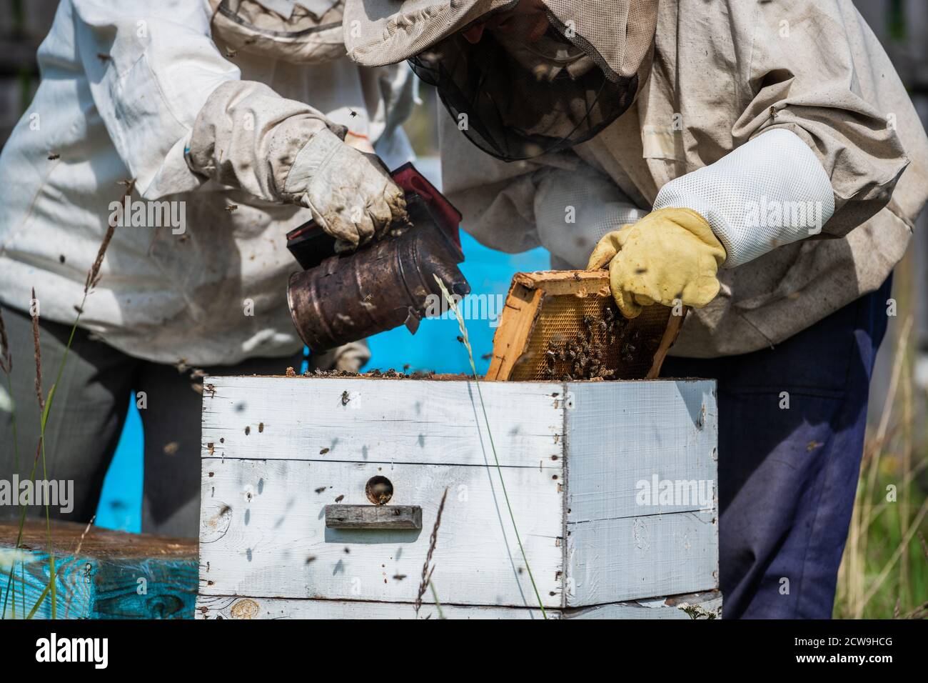 Fumigating hi-res stock photography and images - Alamy