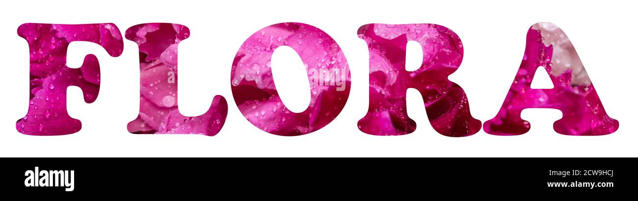 The word "Flora" from peony flower texture isolated on white. A bouquet ...