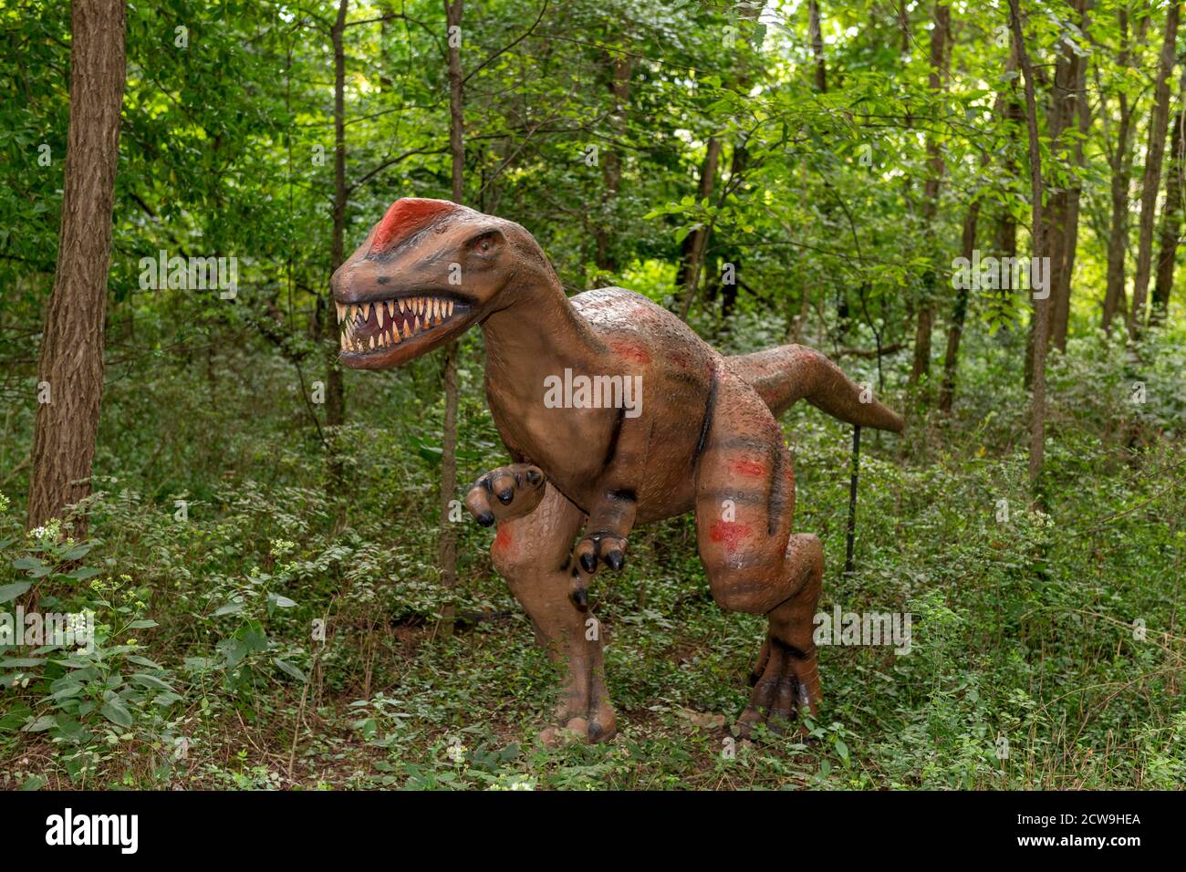 Cave City Kentucky, USA 09-24-20 Dinosaur World is a great outdoor ...