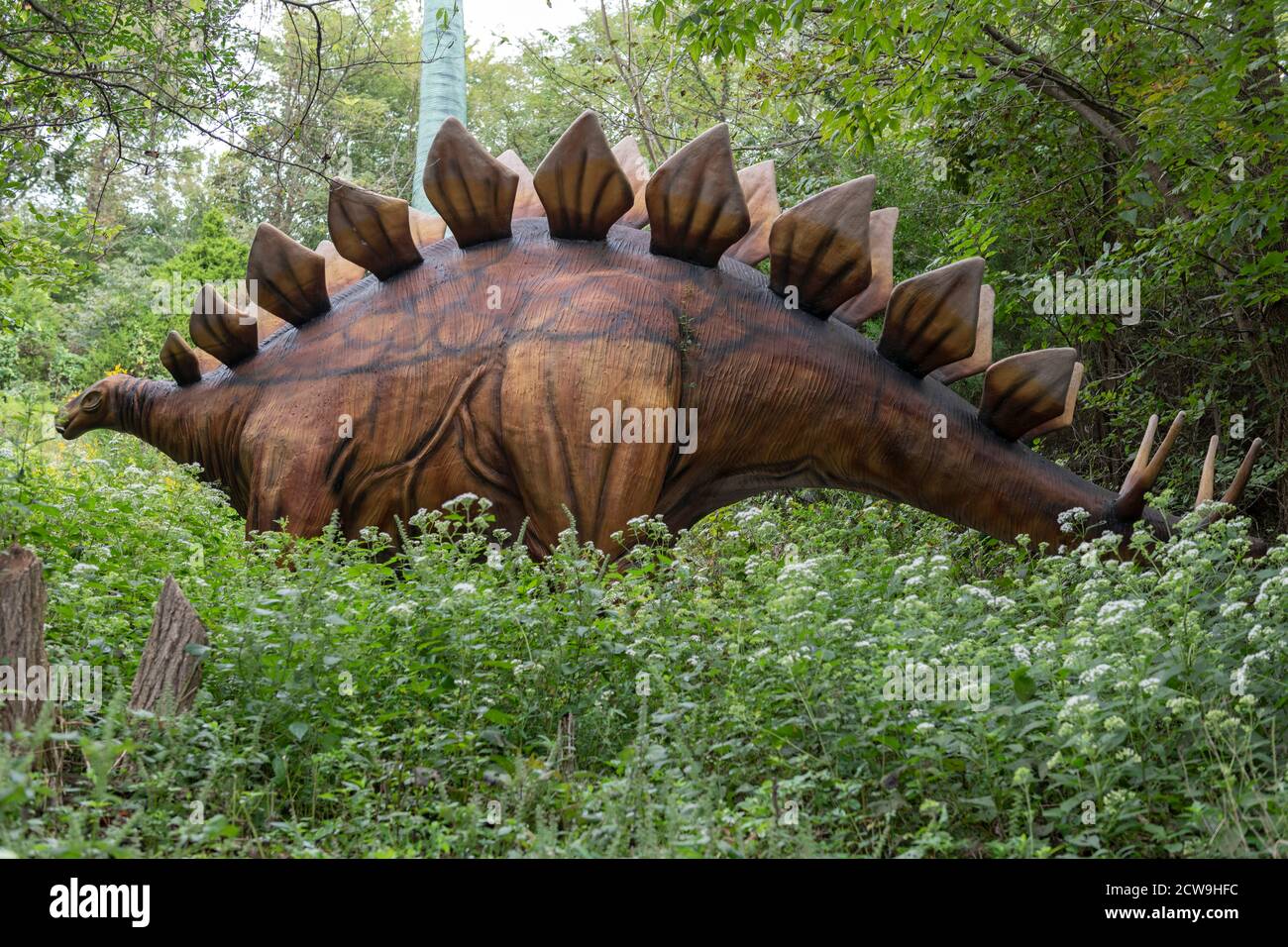 Cave City Kentucky, USA 09-24-20 Dinosaur World is a great outdoor ...