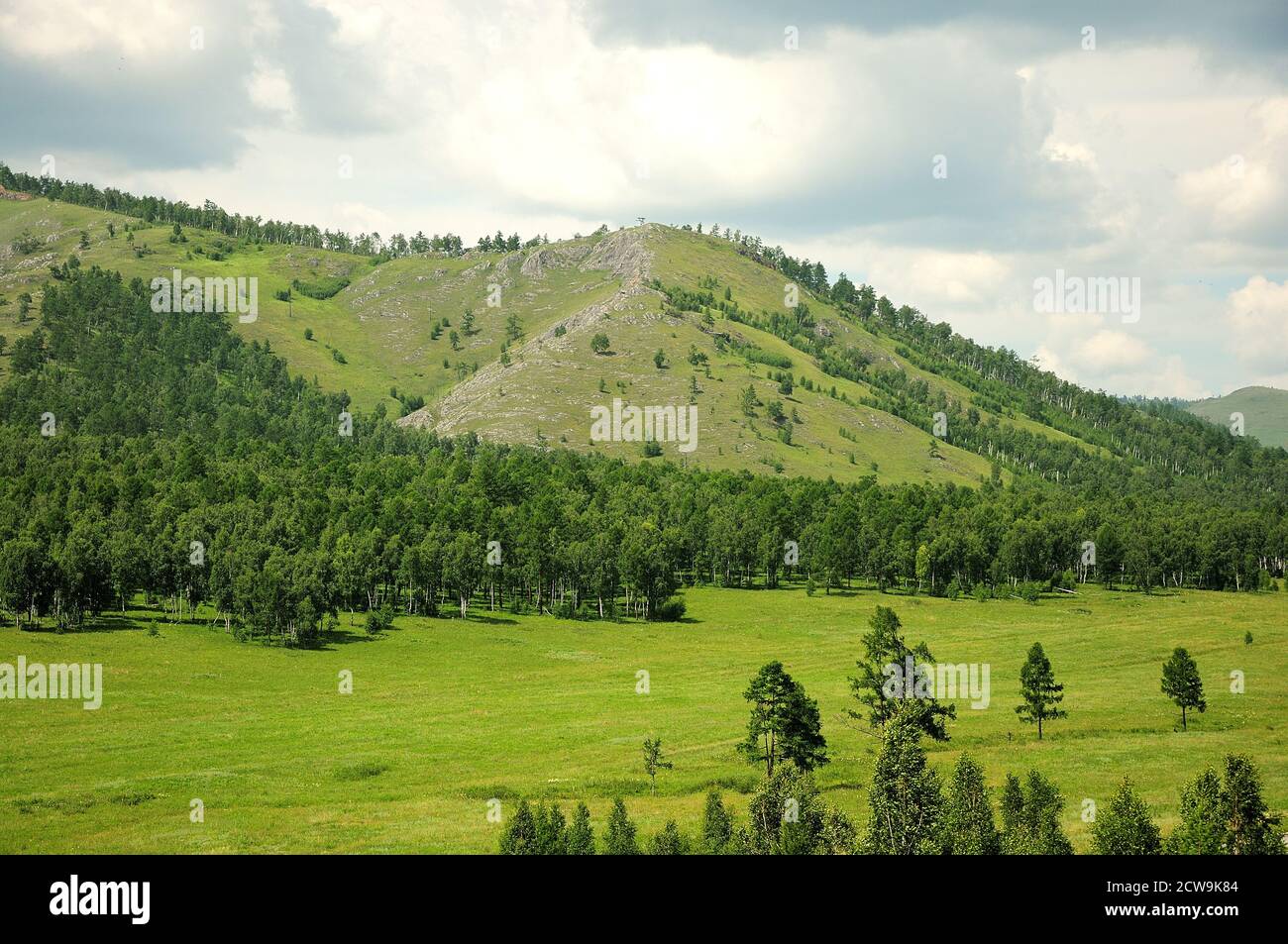 High hills overgrown with grass in the endless steppe under the summer ...