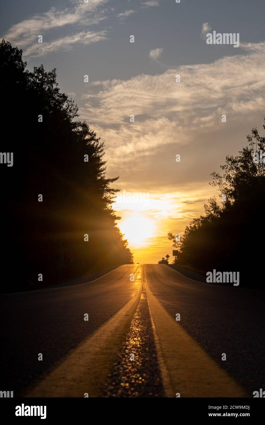 A rural highway is seen from a low angle in a vertical format, with its ...