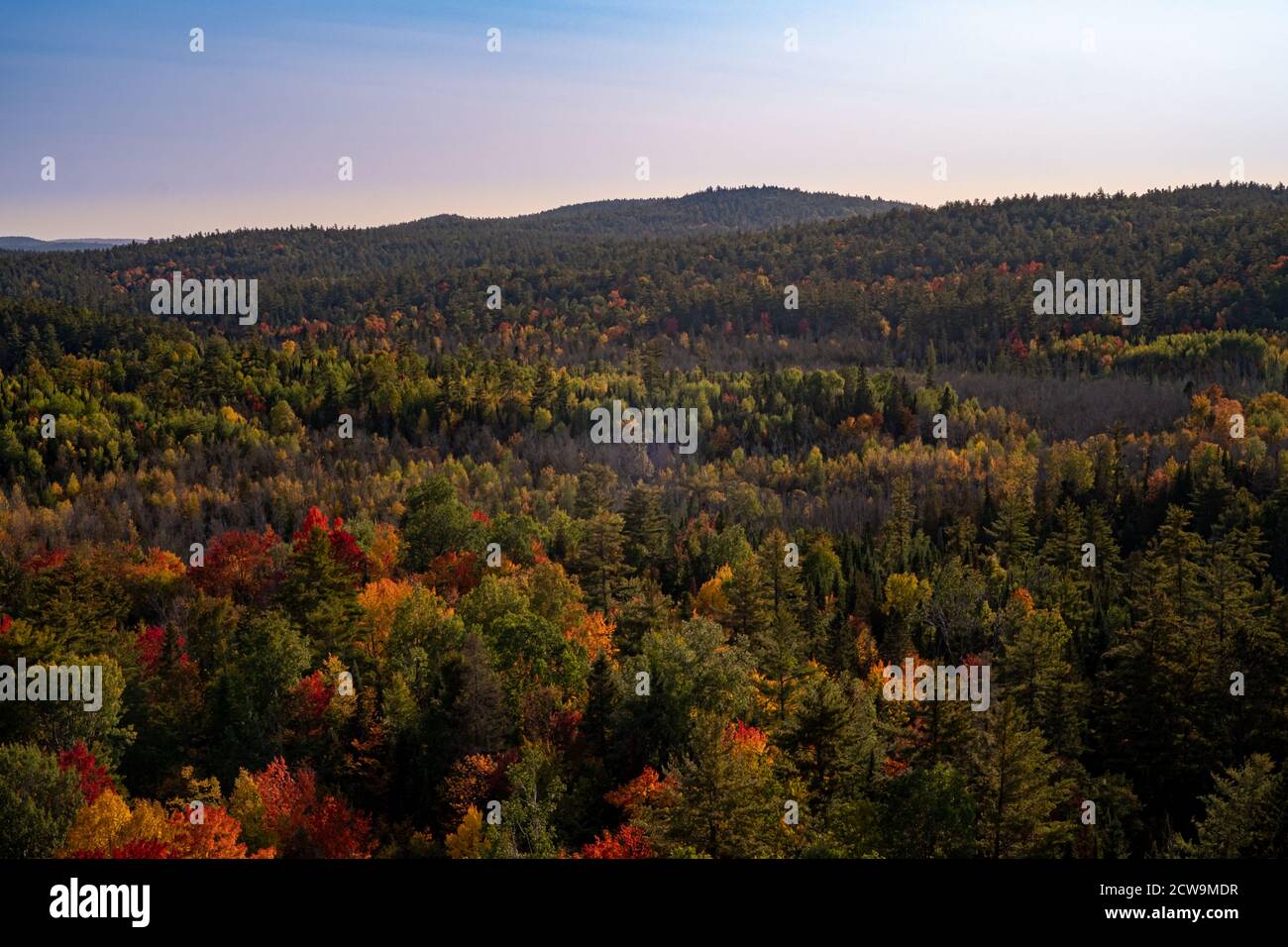 A scenic forest in autumn is seen from a high angle with hills showing ...