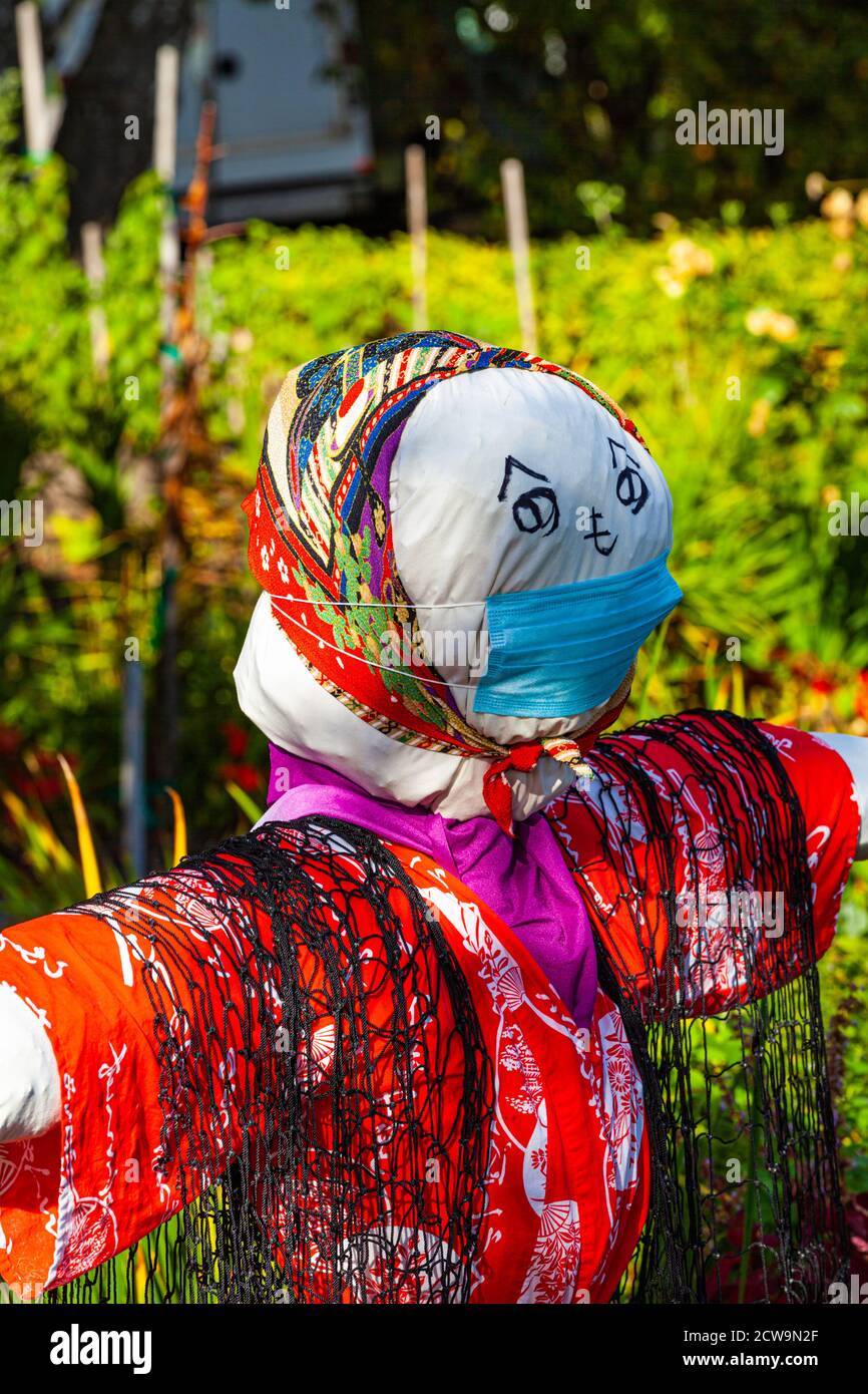 Halloween scarecrow dressed in a Japanese kimono with a face mask in ...
