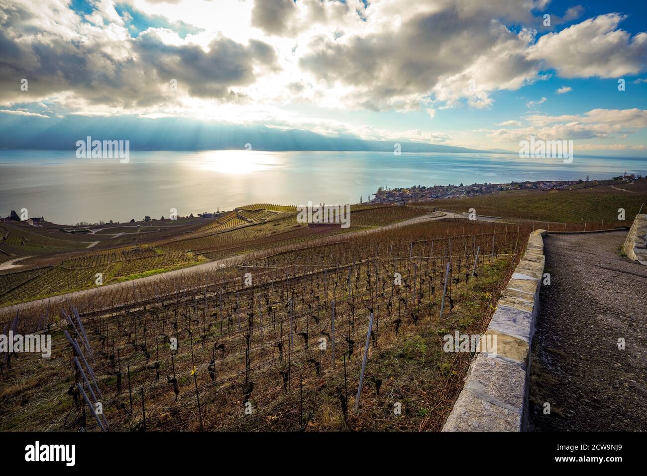 Lavaux is a region in the canton of Vaud in Switzerland, in the ...
