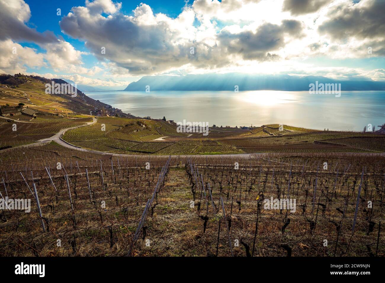 Lavaux is a region in the canton of Vaud in Switzerland, in the ...