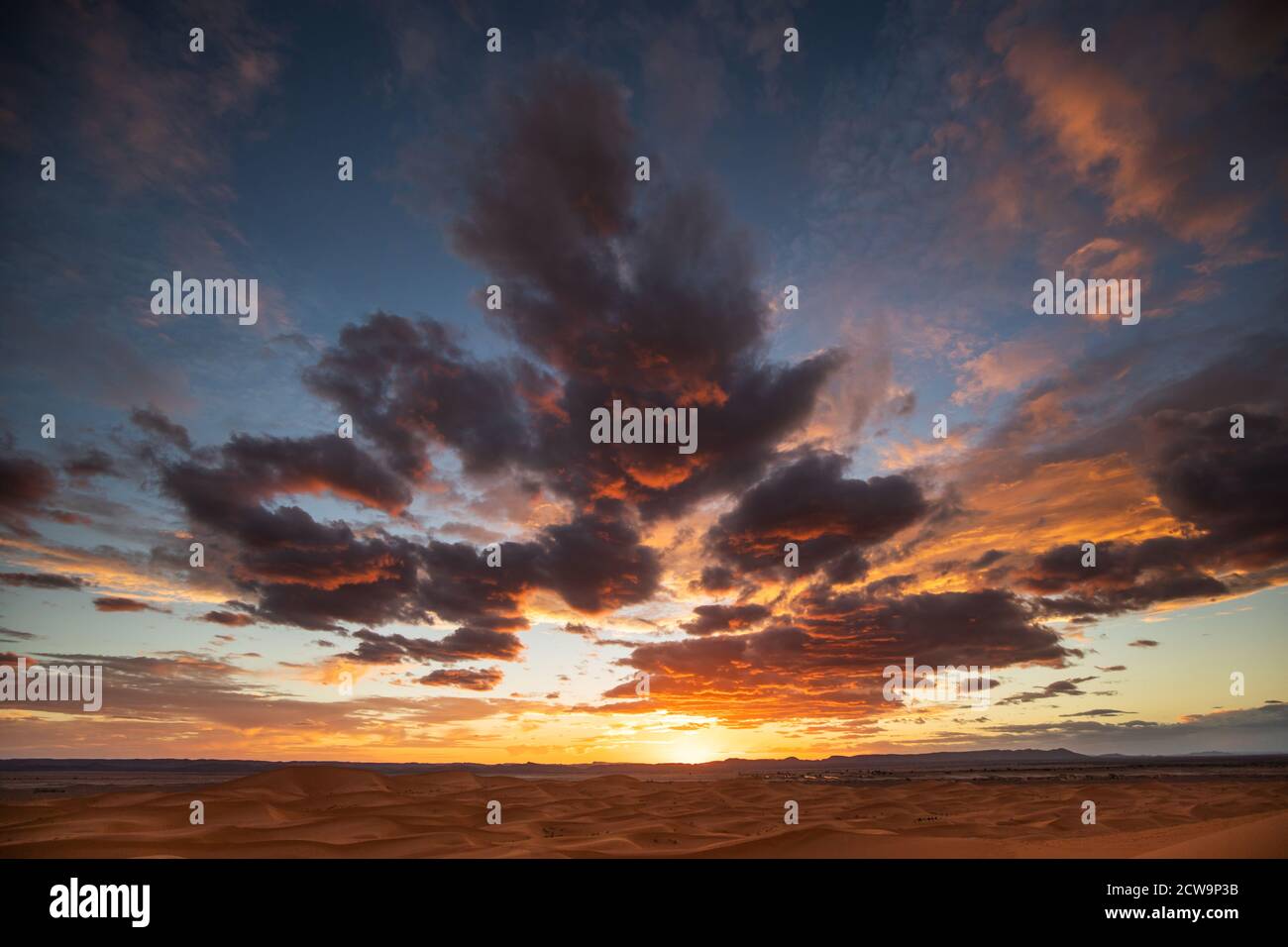 Fantastic bright and colorful sunset over sand dunes in Sahara desert ...