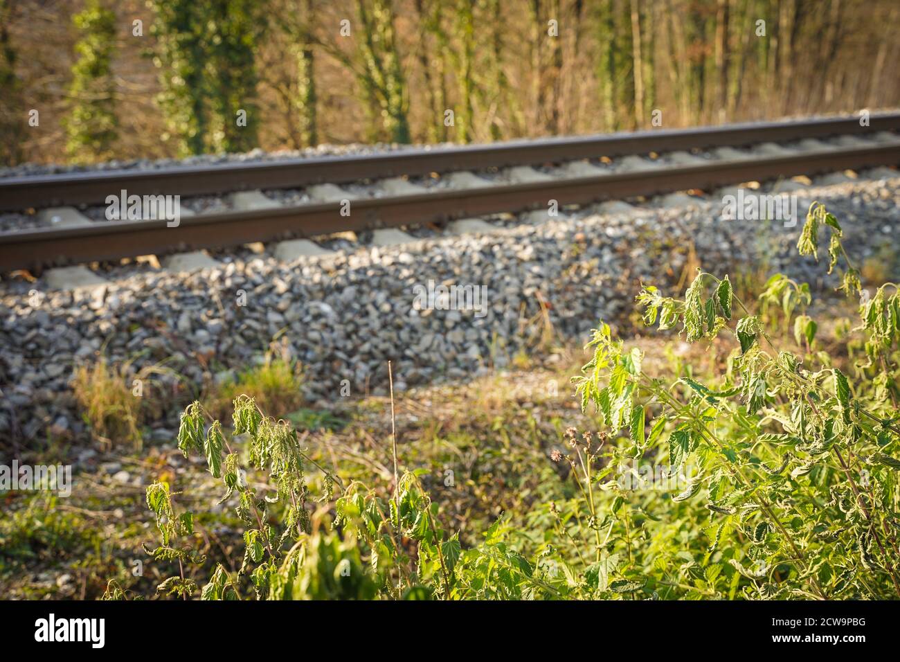 a train railway by the roadside Stock Photo - Alamy