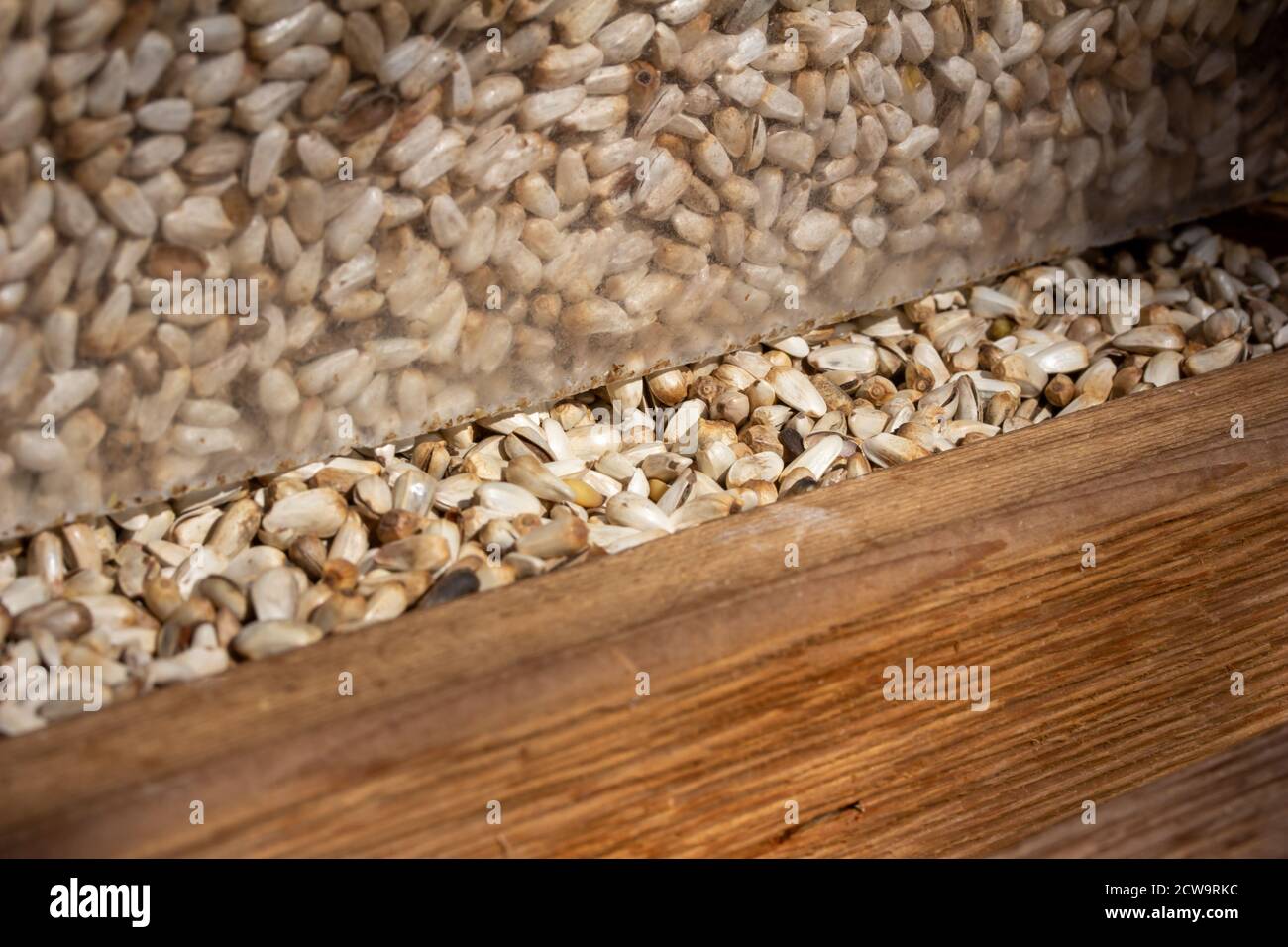 Safflower frame hi-res stock photography and images - Alamy