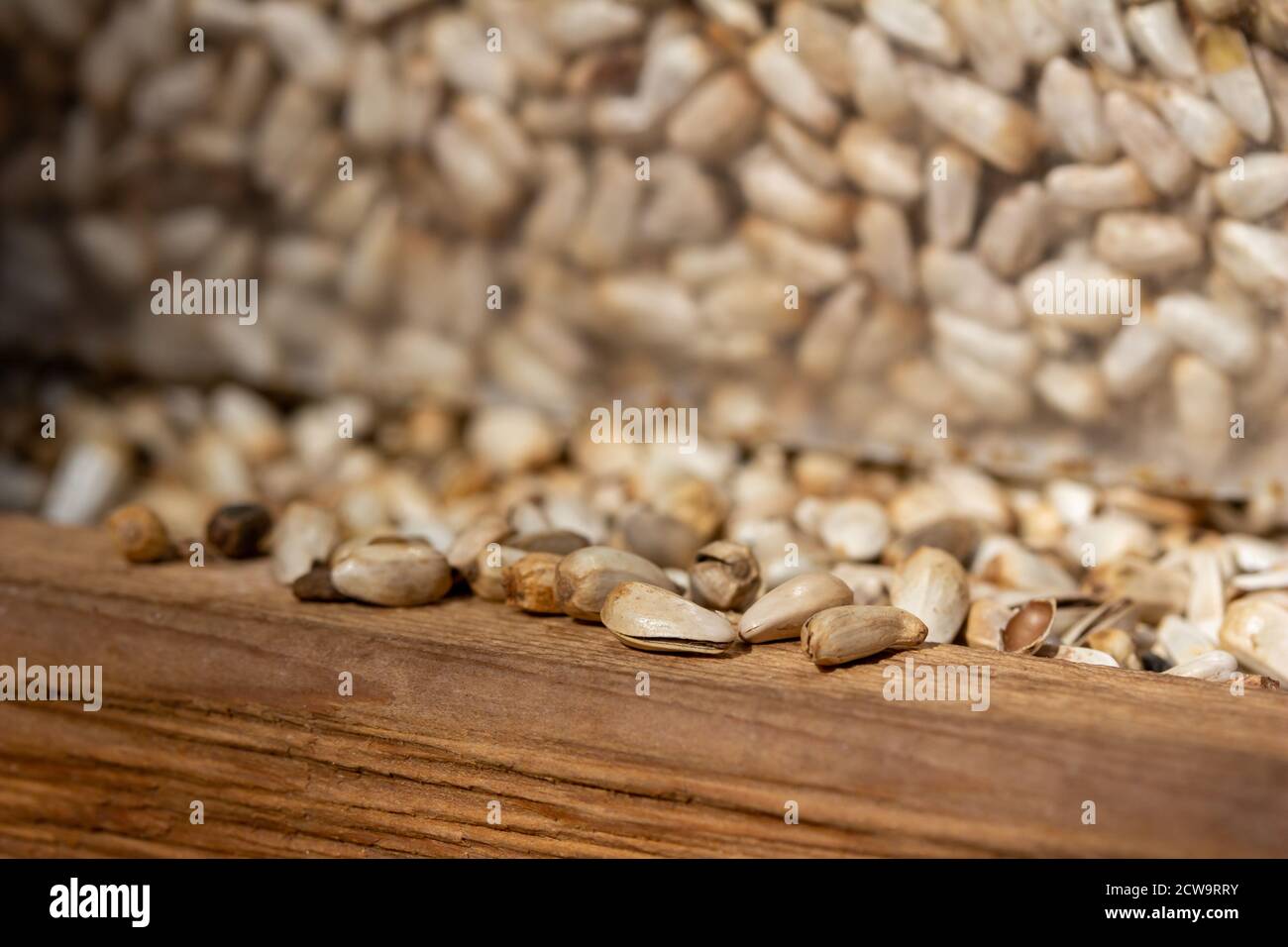 Safflower frame hi-res stock photography and images - Alamy