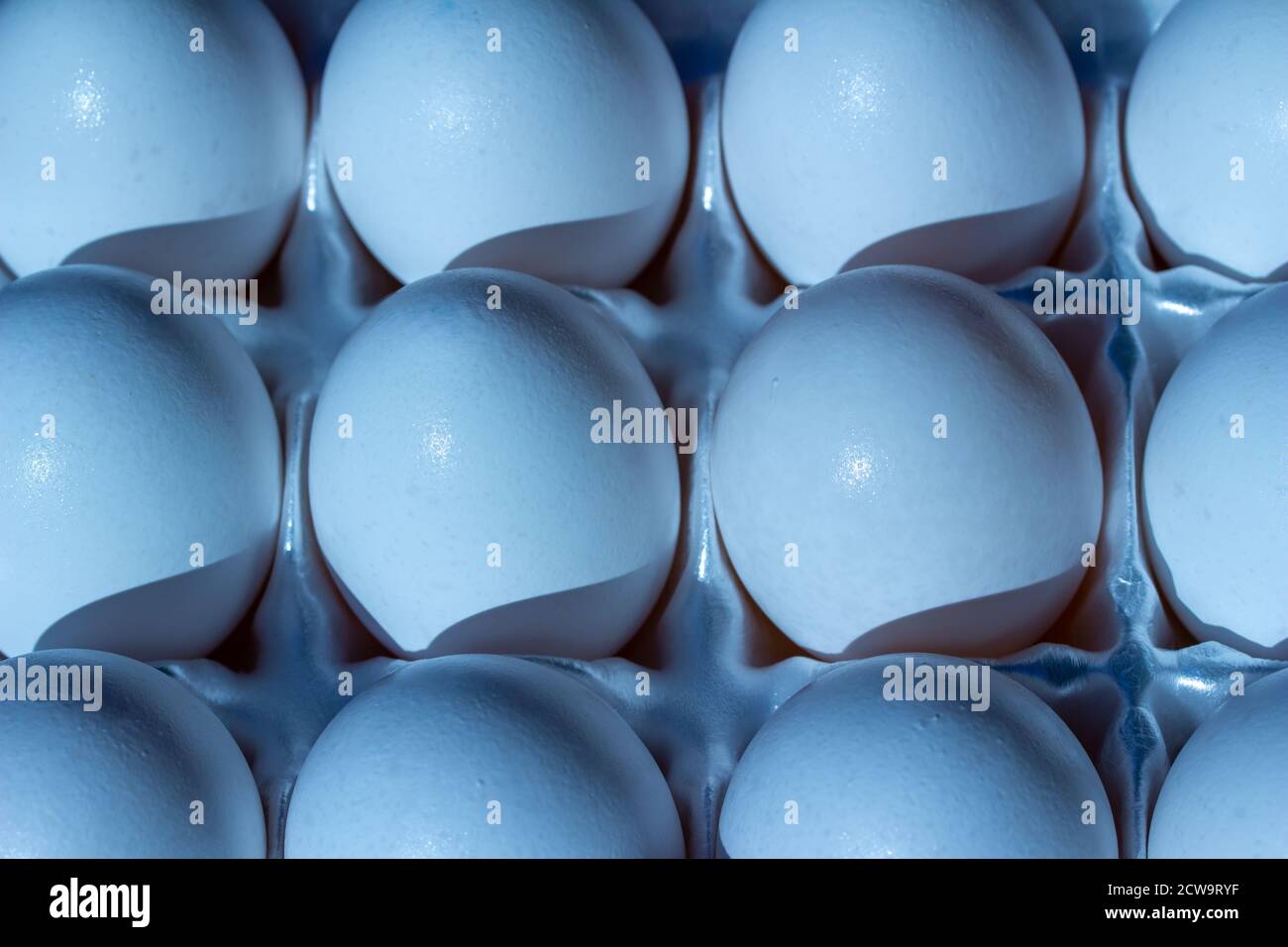 Close up full frame texture background of a carton of fresh white ...