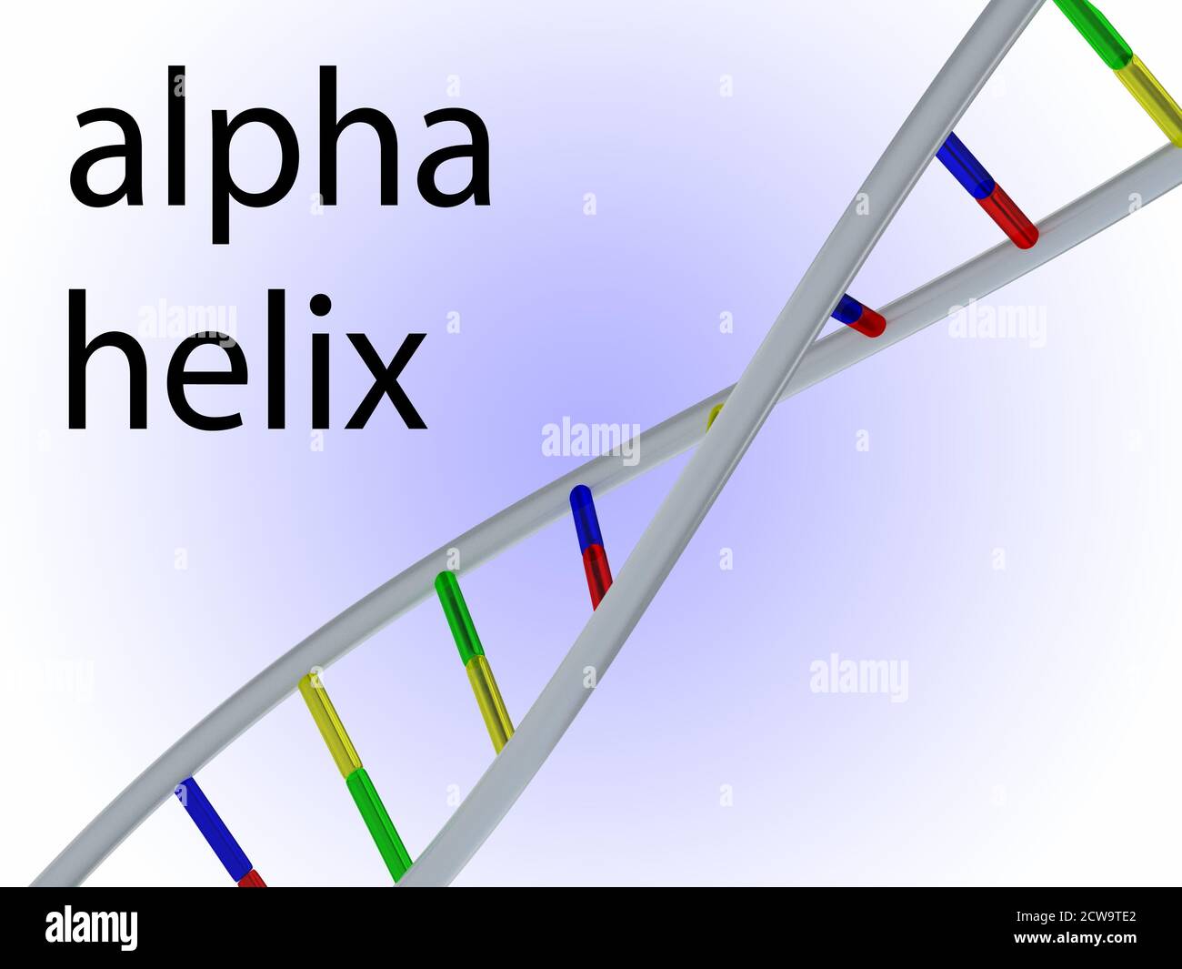 Alpha Helix Dna