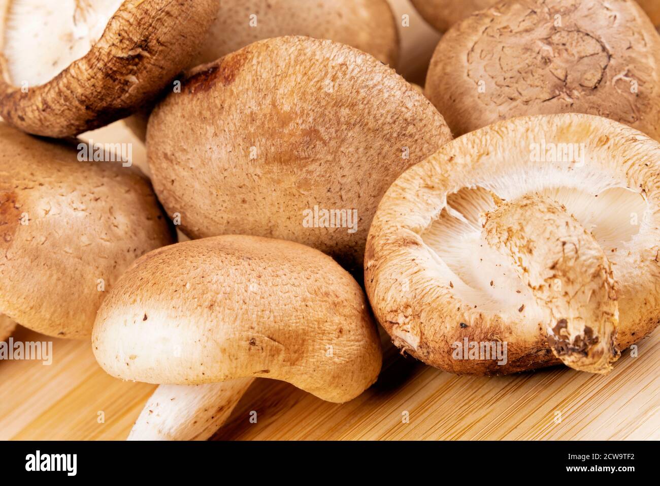 A background of delicious edible brown mushrooms Stock Photo - Alamy