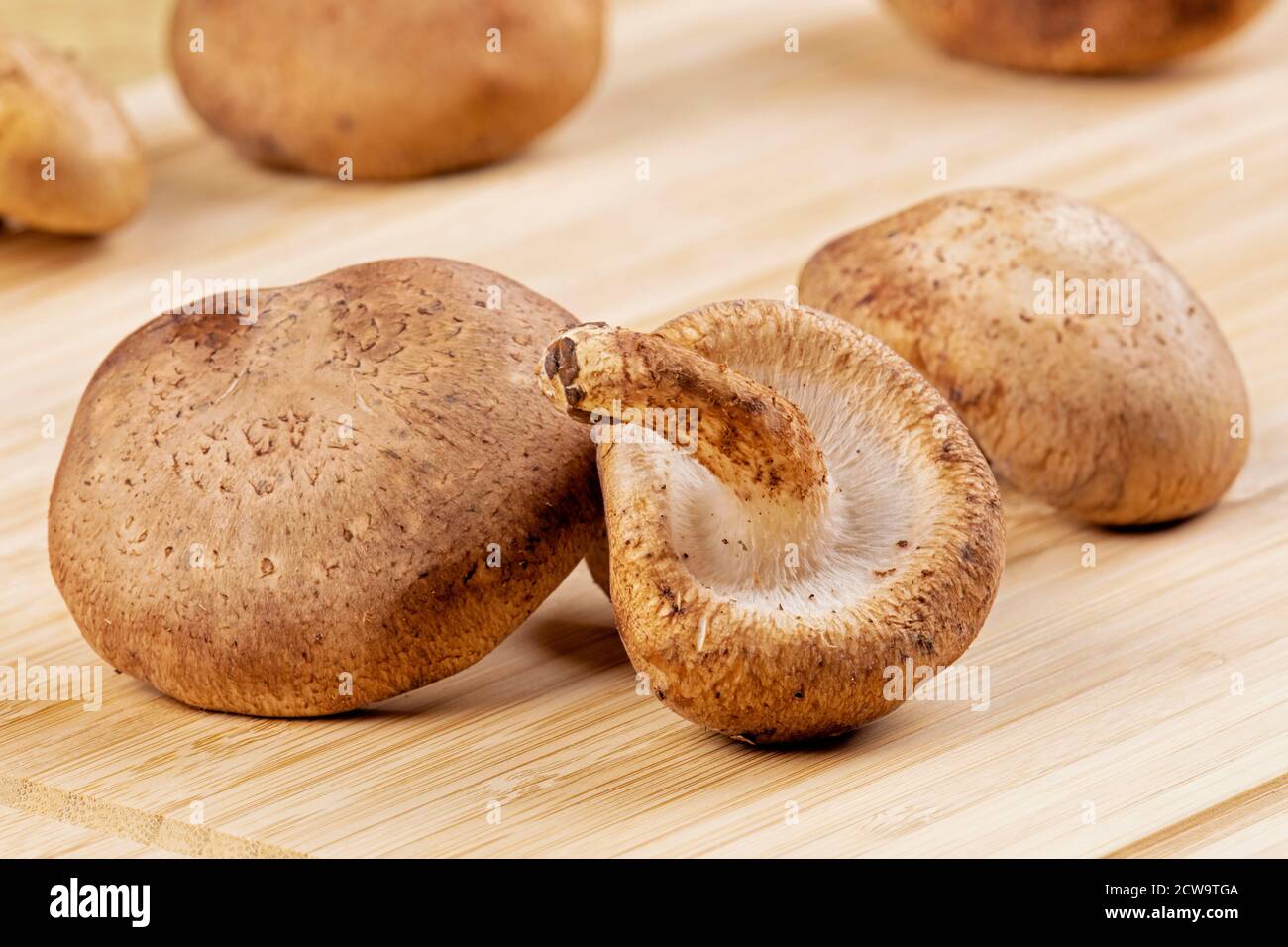 Mushrooms are edible fungi hi-res stock photography and images - Alamy
