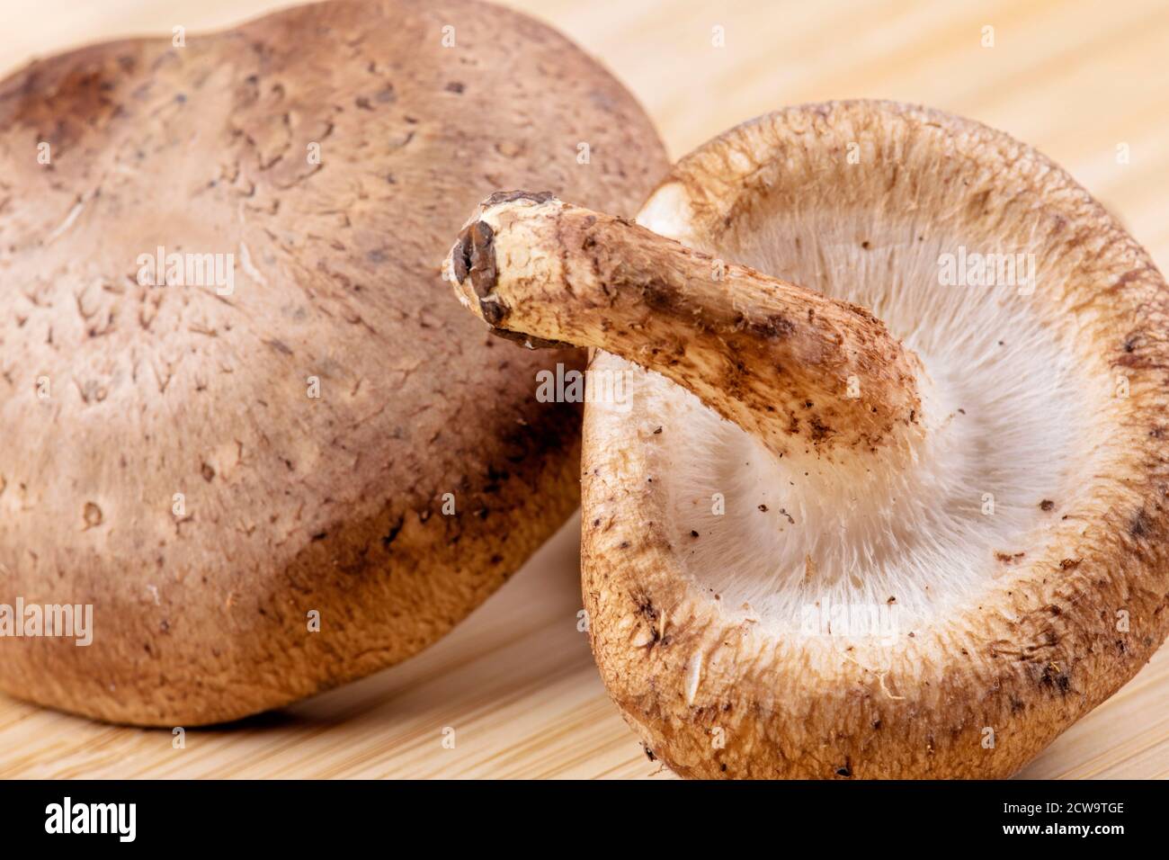 A close up of delicious edible brown mushrooms Stock Photo - Alamy