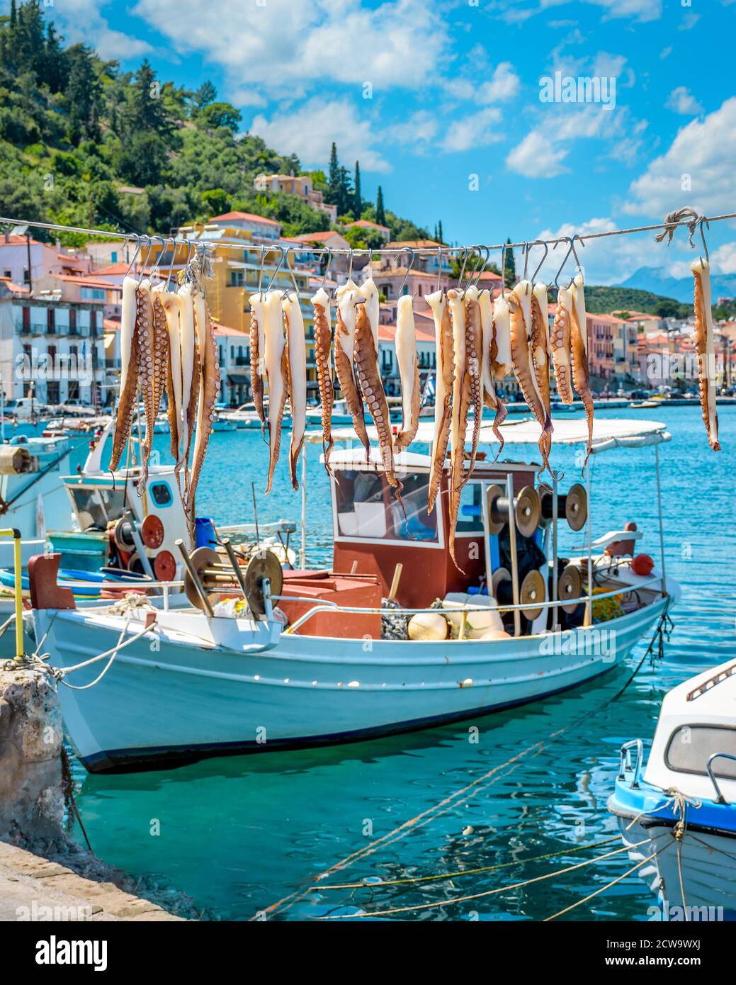 Tentacles octopus hi-res stock photography and images - Alamy