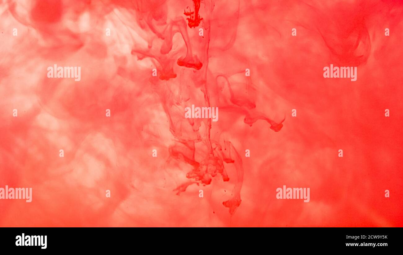 Red ink drop in water on white background. Watercolor paint splash ...