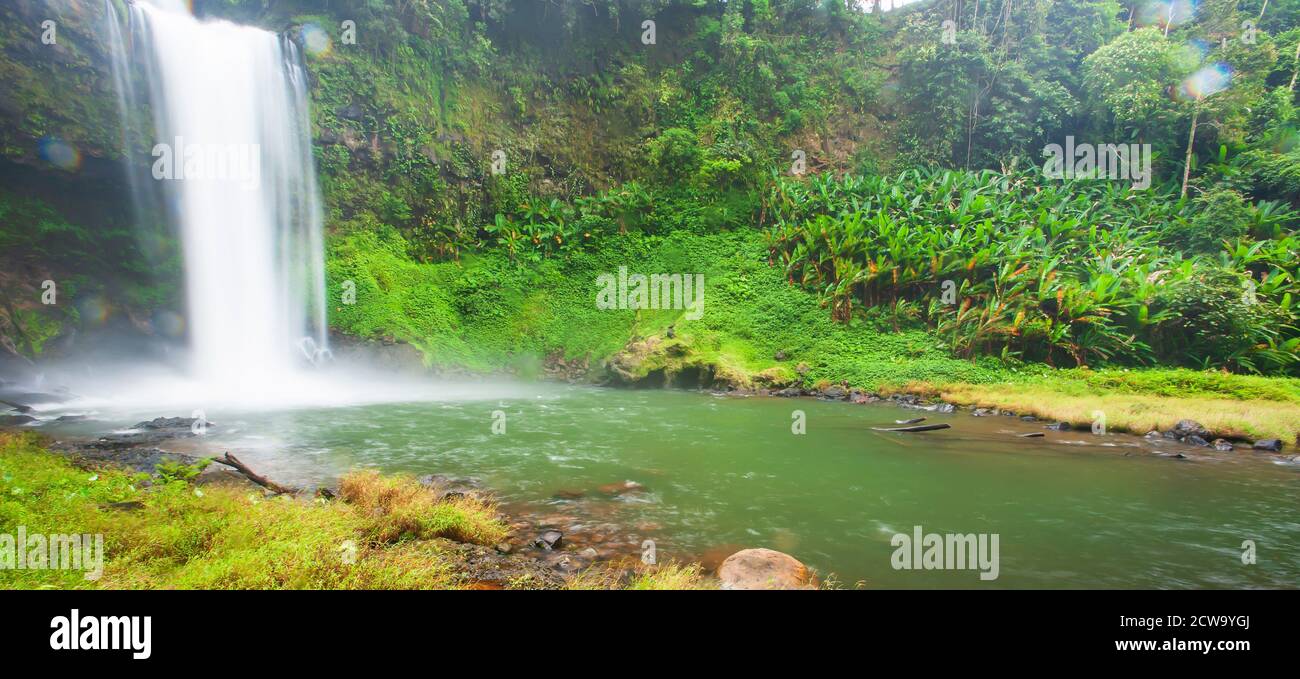 Fresh tropical waterfall on rain morning, freshwater splashing in the ...