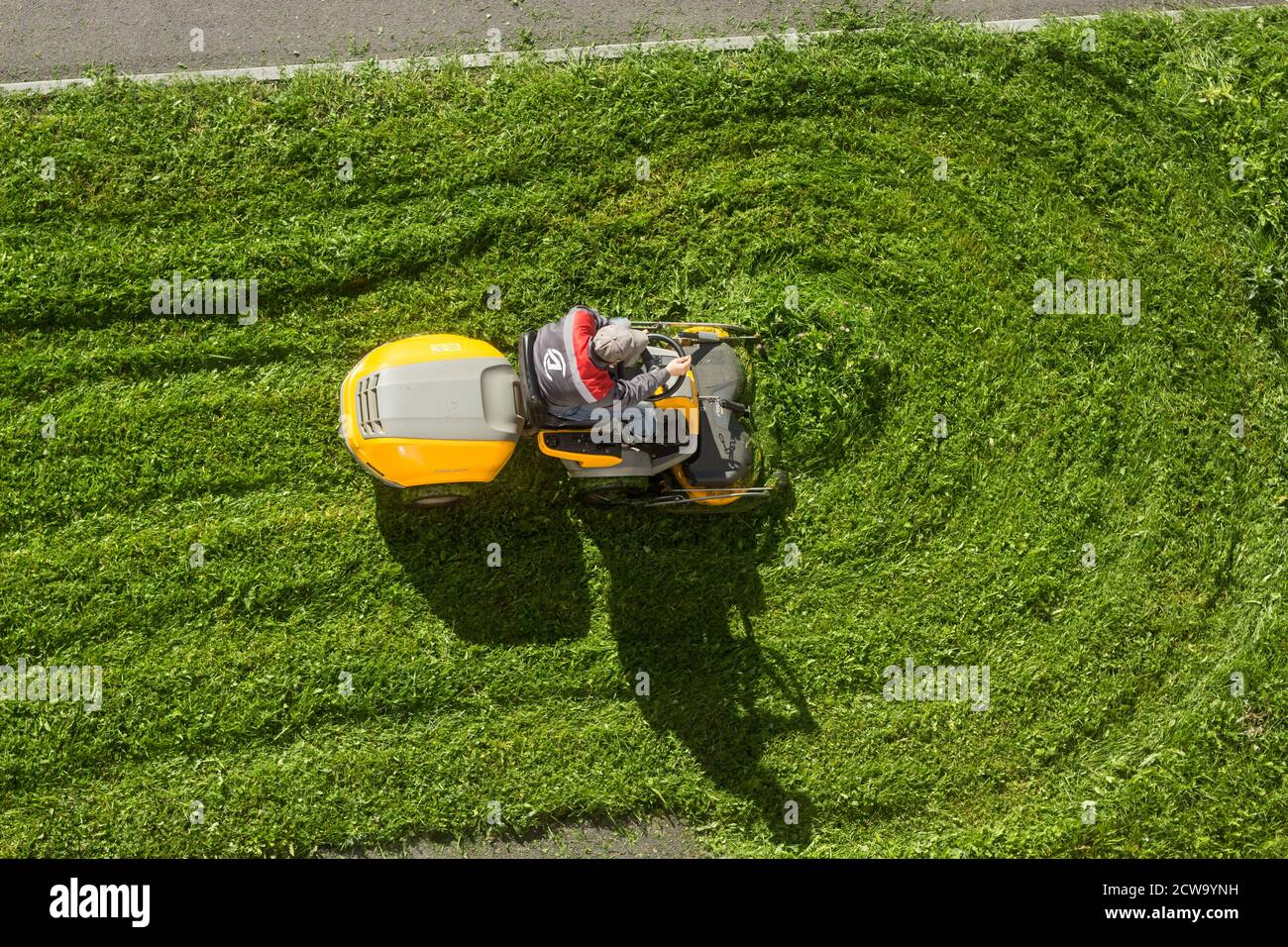 Russia Peterhof 14.09.2020.man in a work uniform mows lawn with a ...