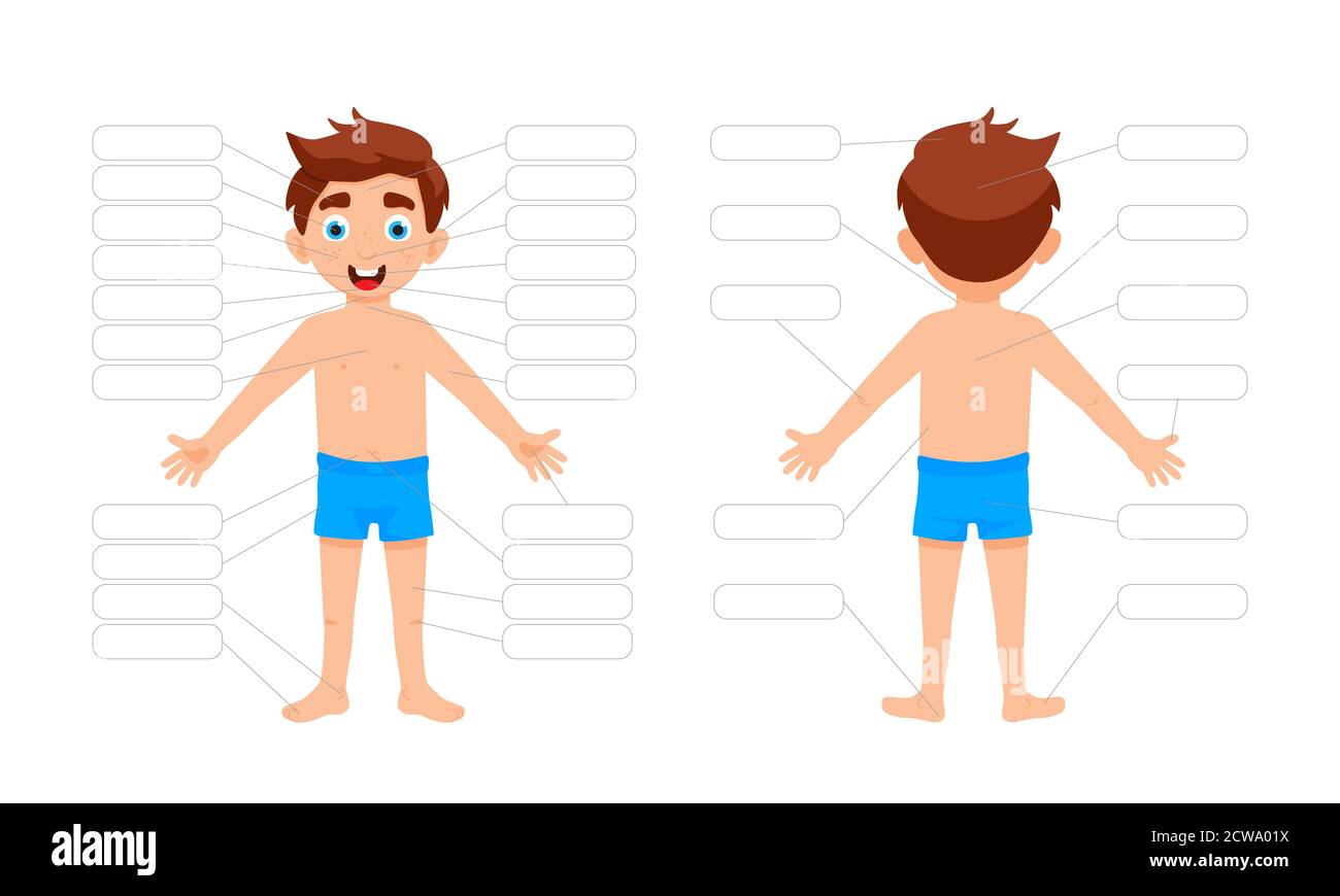 My body poster with cute kid boy shows his body parts medical anatomy ...