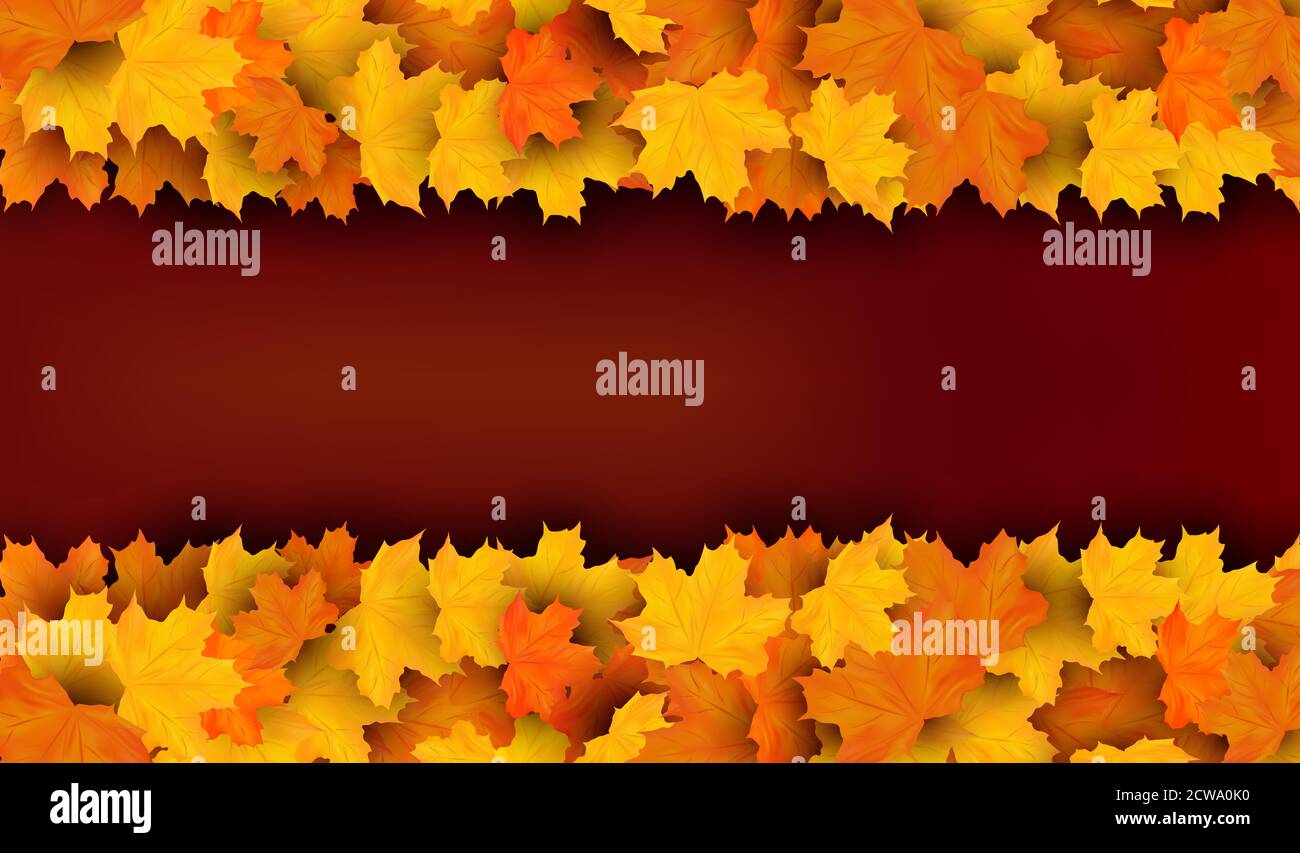Banner with orange Autumn leaves. Bright Autumn design for your poster ...