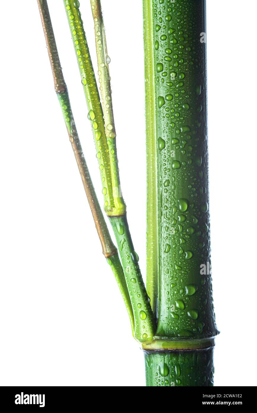 Bamboo material Cut Out Stock Images & Pictures - Alamy