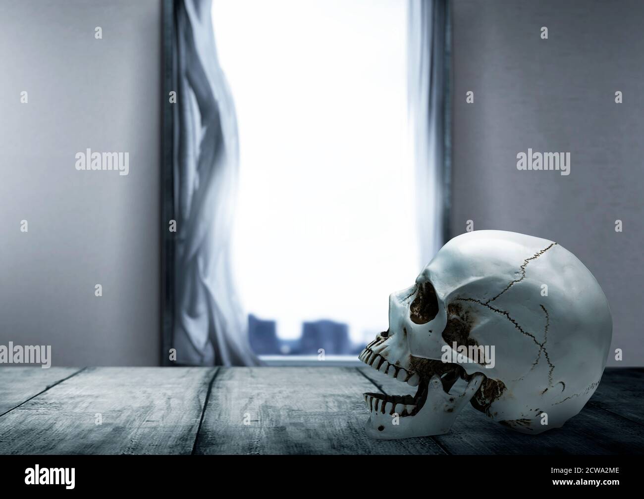 Nature table skull hi-res stock photography and images - Alamy