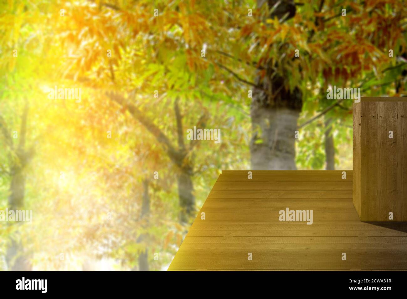 Wooden table with a haunted forest view with sunlight background Stock ...