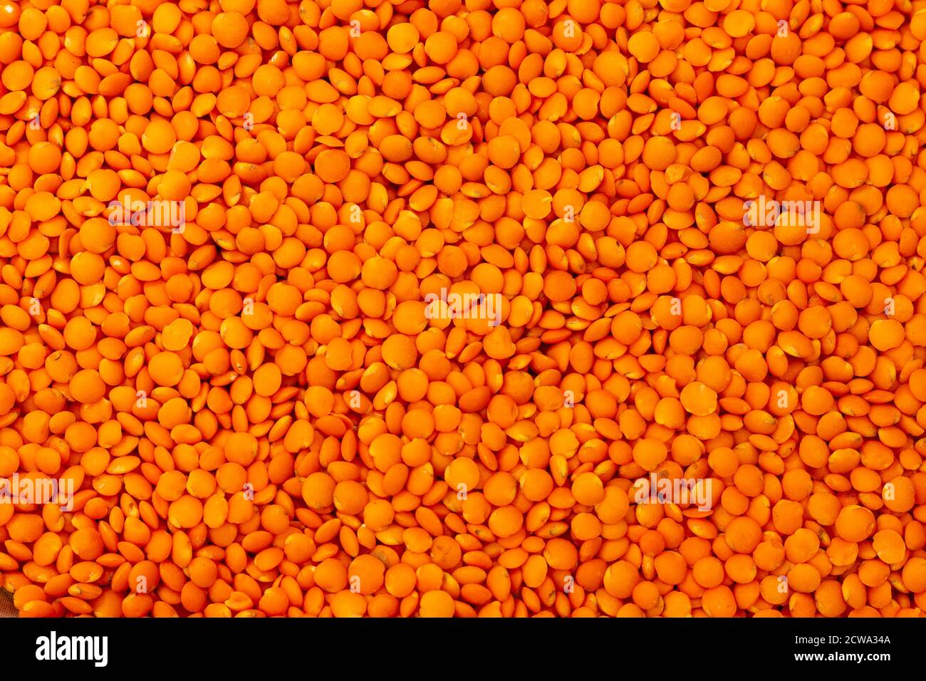 Raw lentil grains close up Stock Photo - Alamy
