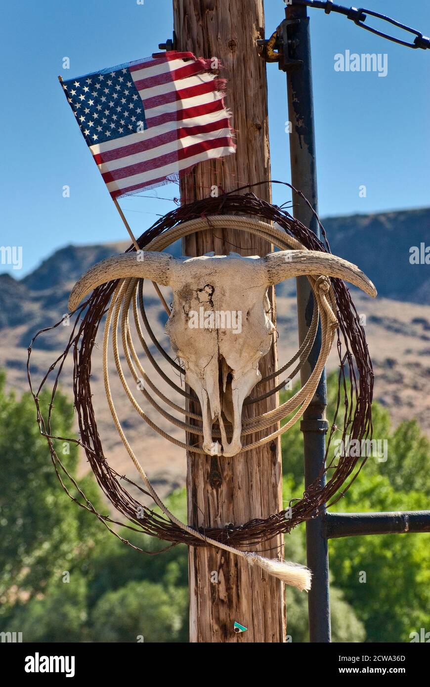 Coil of barbed wire, lasso, bull skull and frayed US flag at ranch gate ...