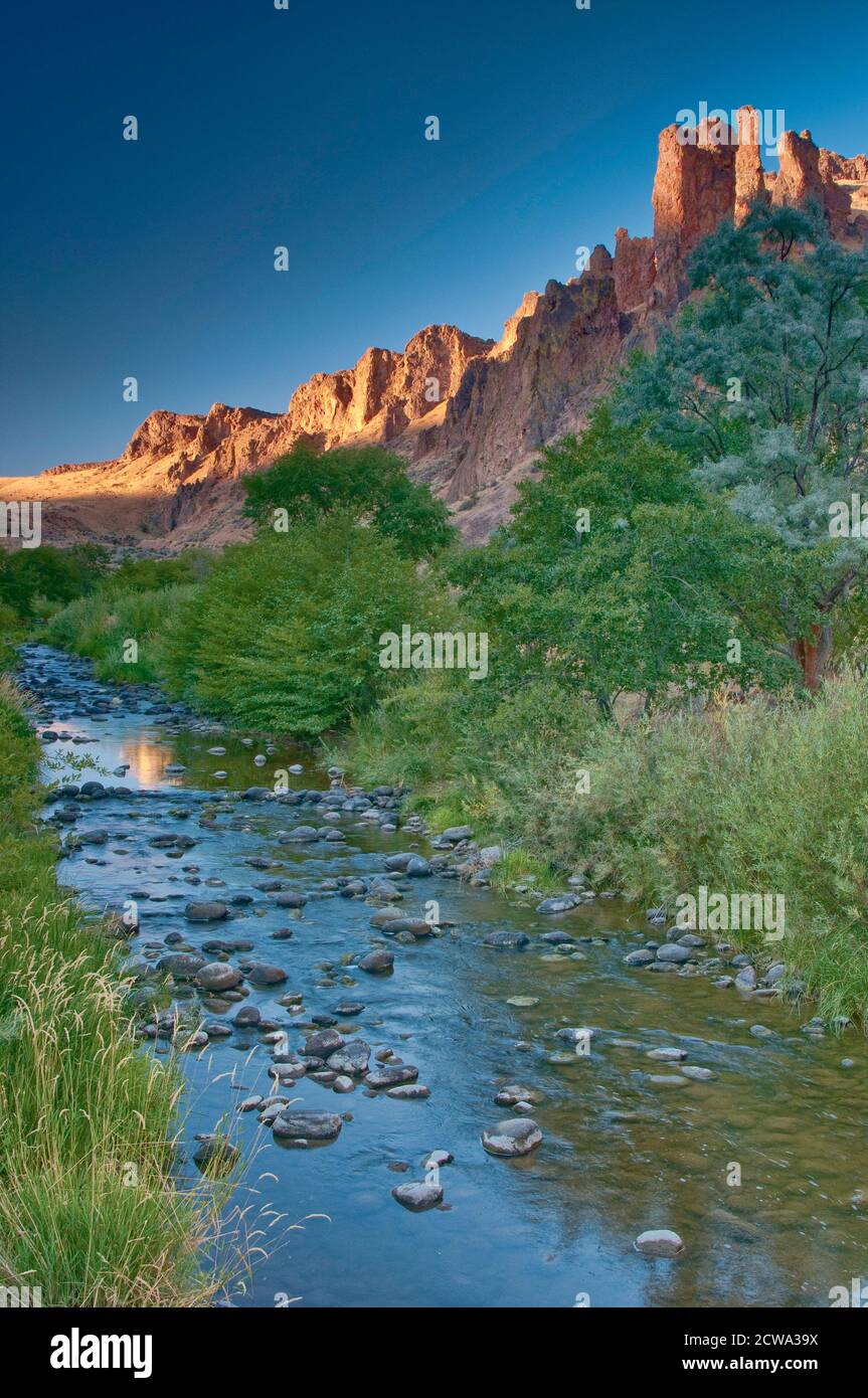 Volcanic rhyolite rock cliffs over Succor Creek at sunrise, Three ...