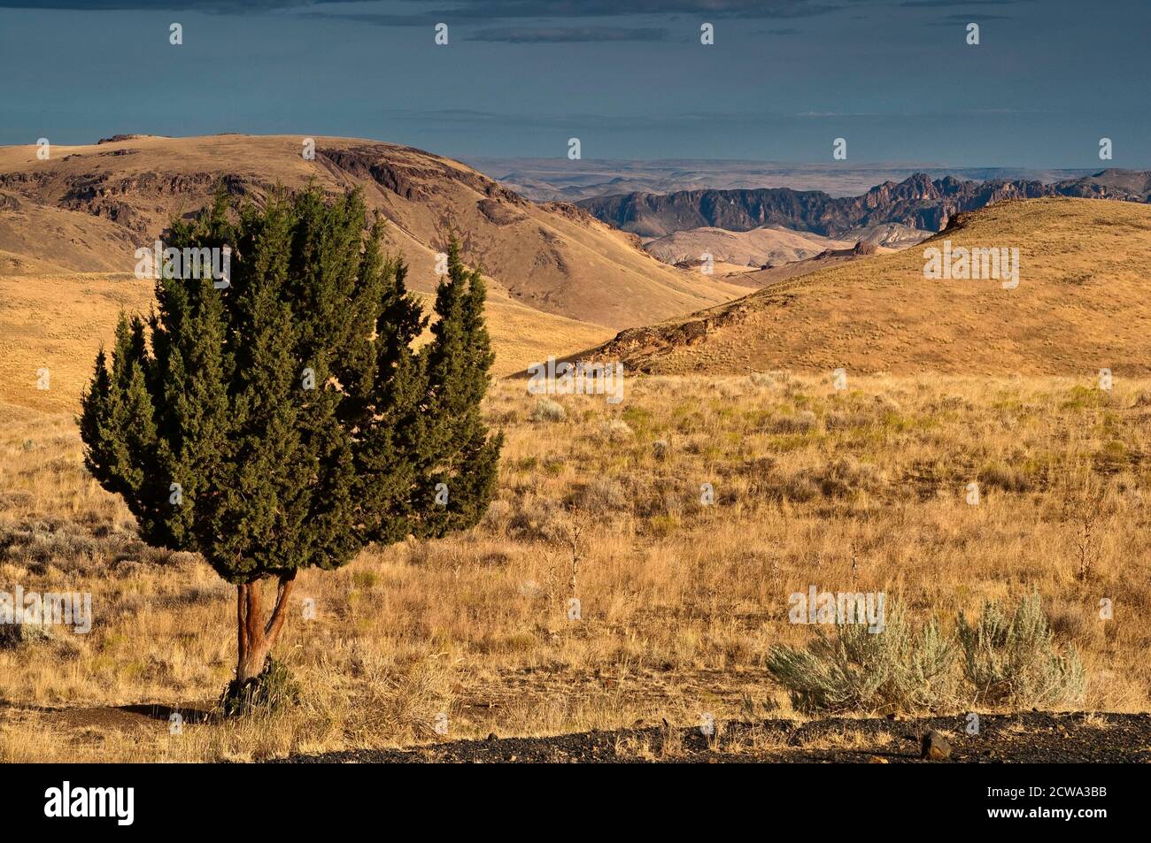 Owyhee Mountains High Resolution Stock Photography and Images - Alamy
