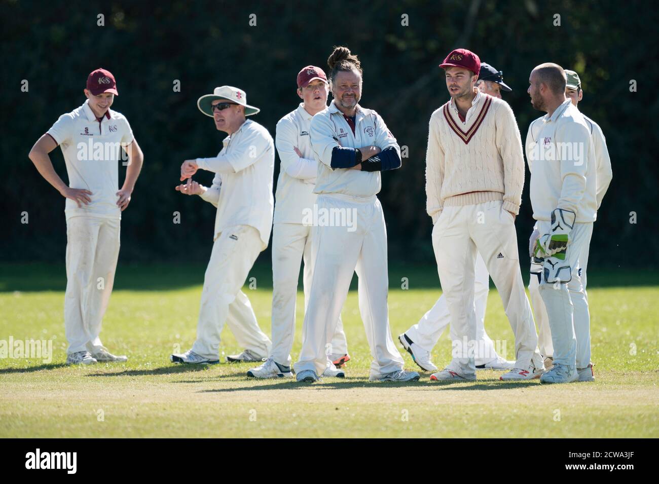 Cricket players in group Stock Photo - Alamy