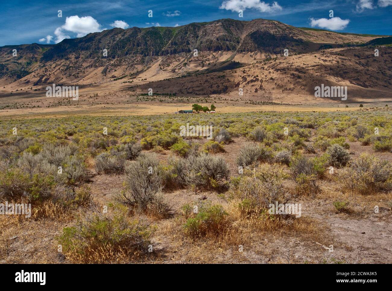 Lonely ranch in isolated area below Steens Mountain in Alvord Desert ...