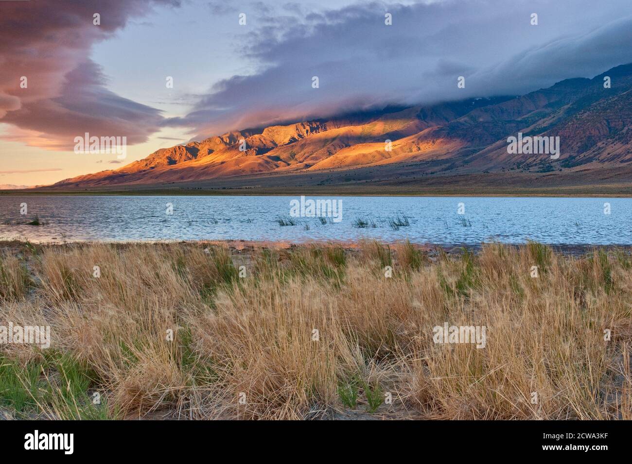 000 feet into the sky hi-res stock photography and images - Alamy