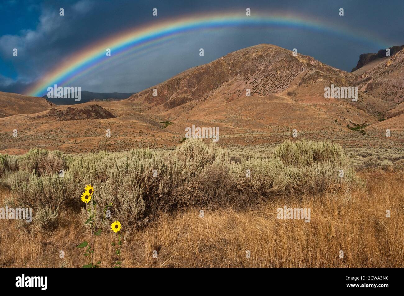 Rainbow over Steens Mountain, Alvord Desert, part of Great Basin Desert ...